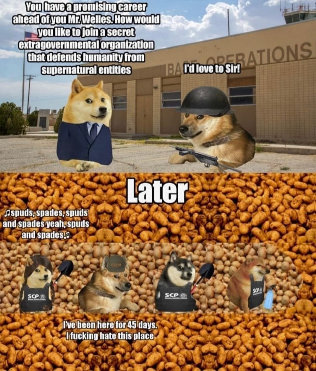 SCP Rule | Scrolller