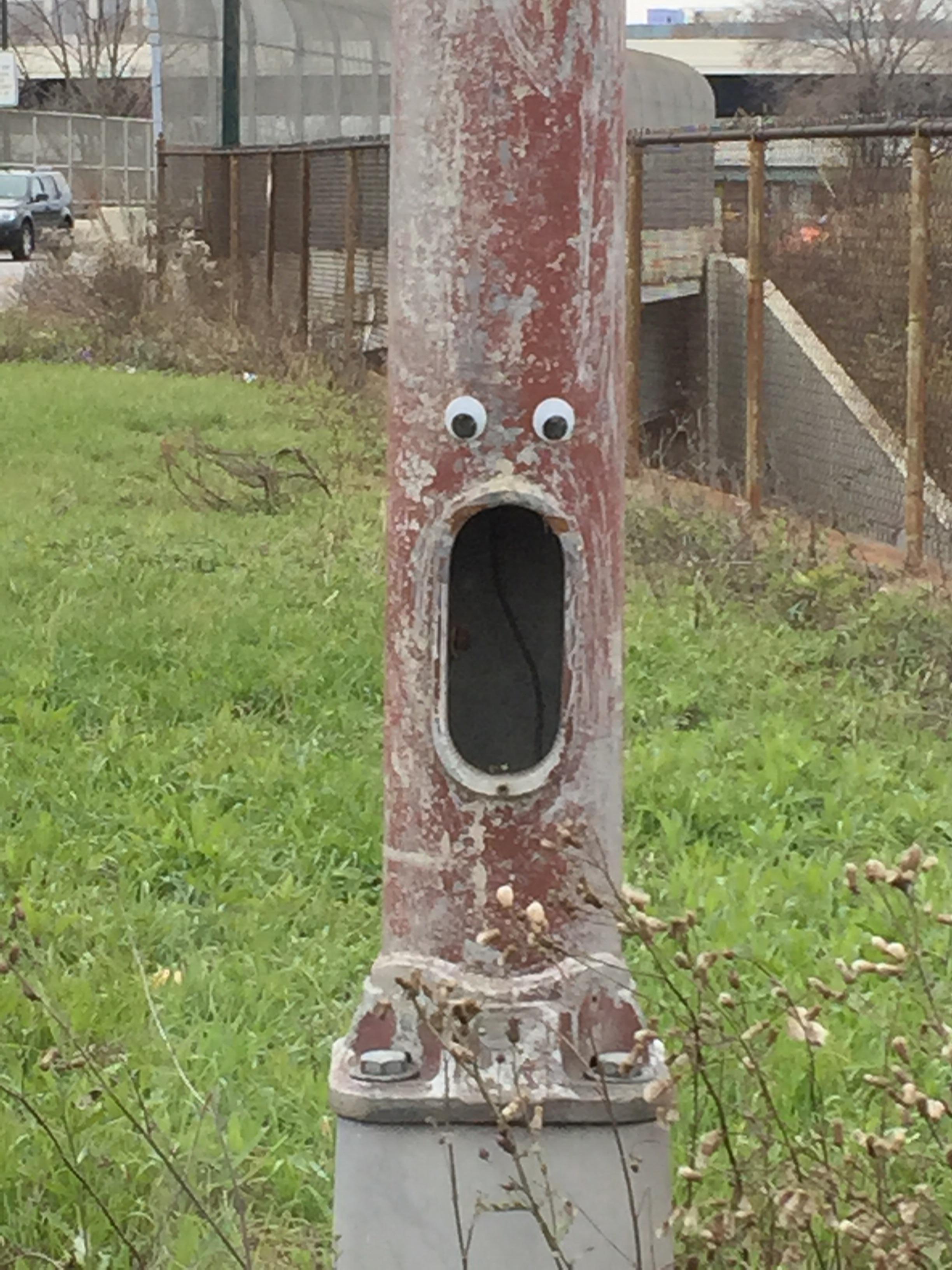 Screaming utility pole | Scrolller