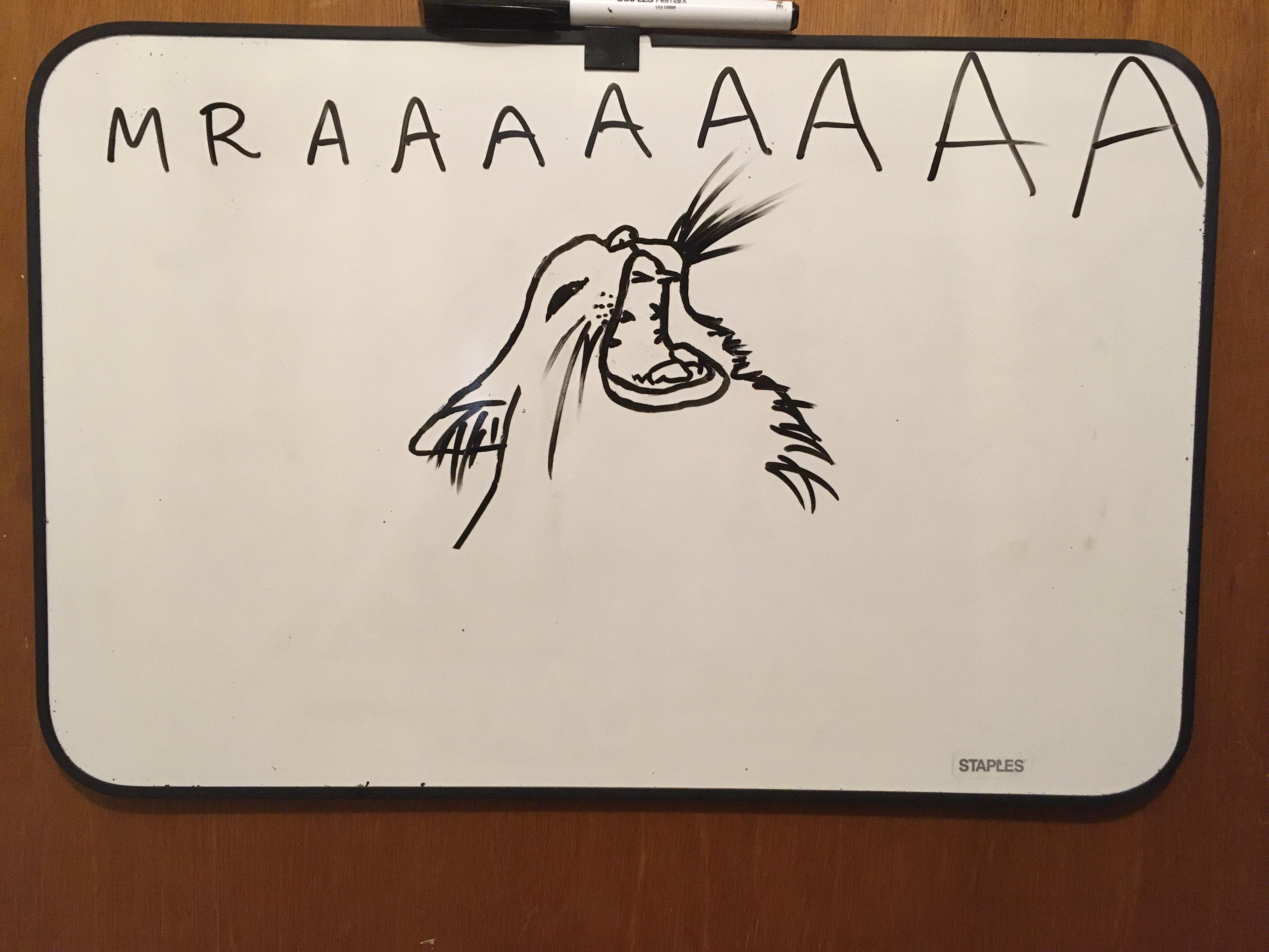 Screamon’s greetings on our communal whiteboard | Scrolller