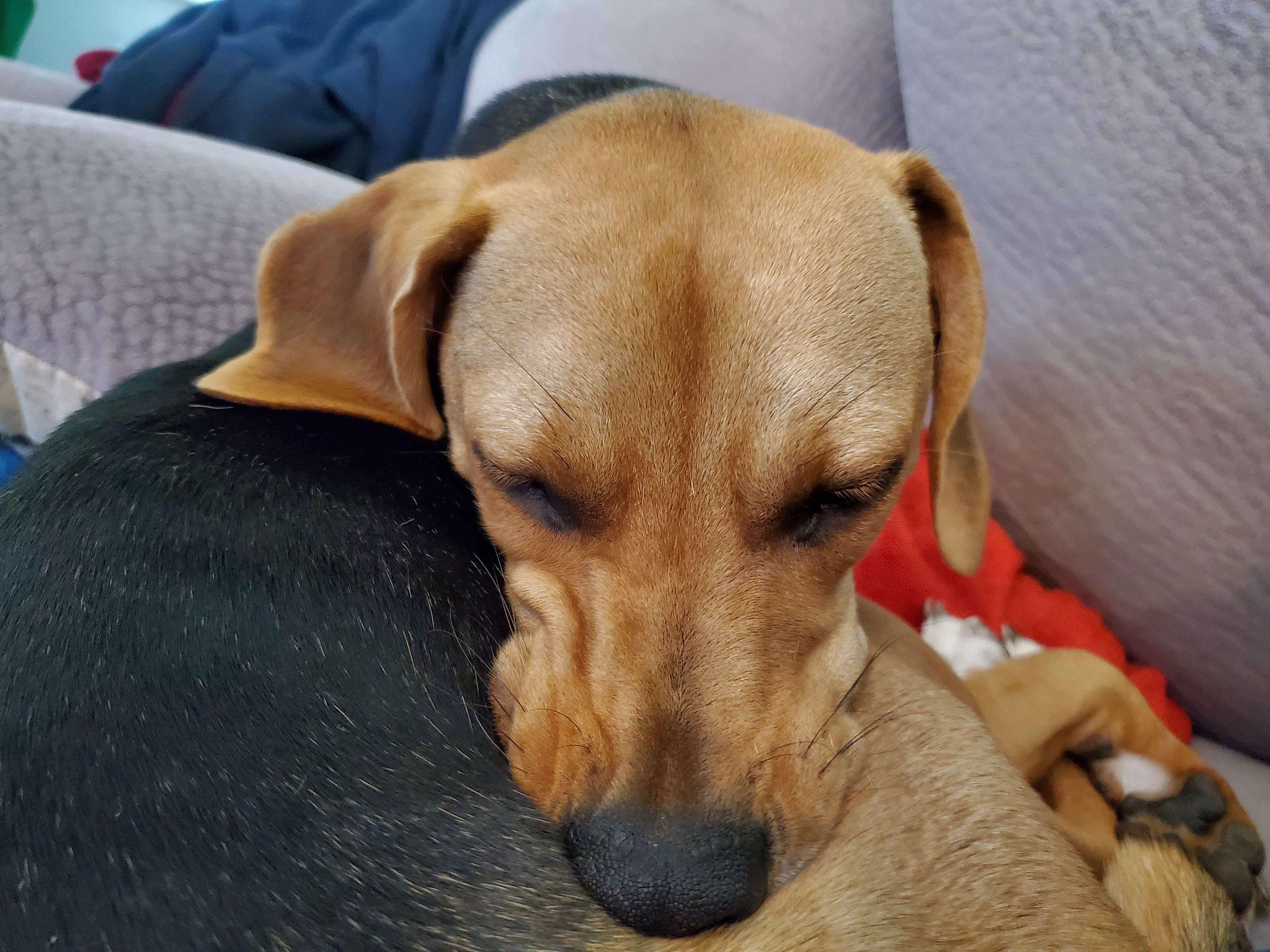 Scrunchy face | Scrolller