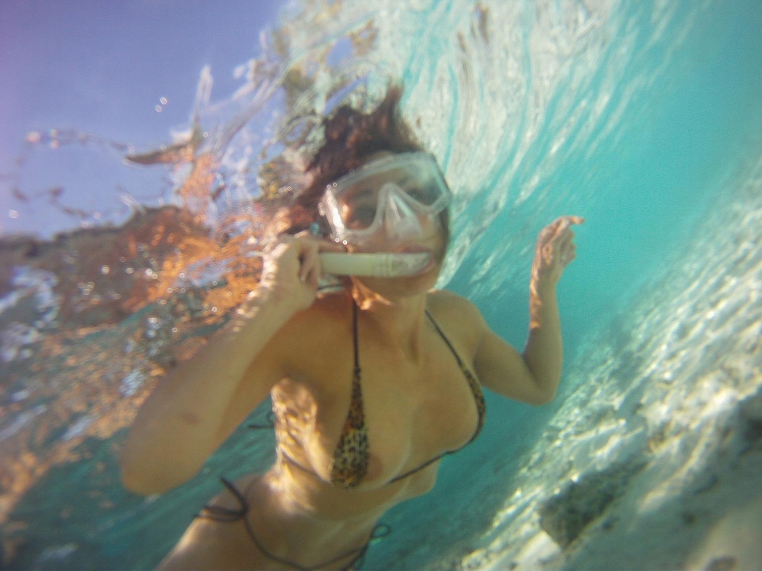 Scuba diving with fish | Scrolller