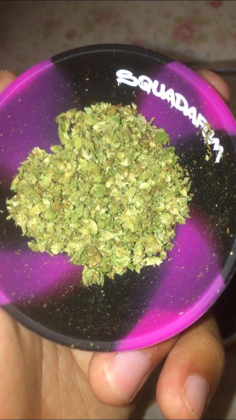 Sdds de chapar com a rapaziada. Quarentena é foda | Scrolller