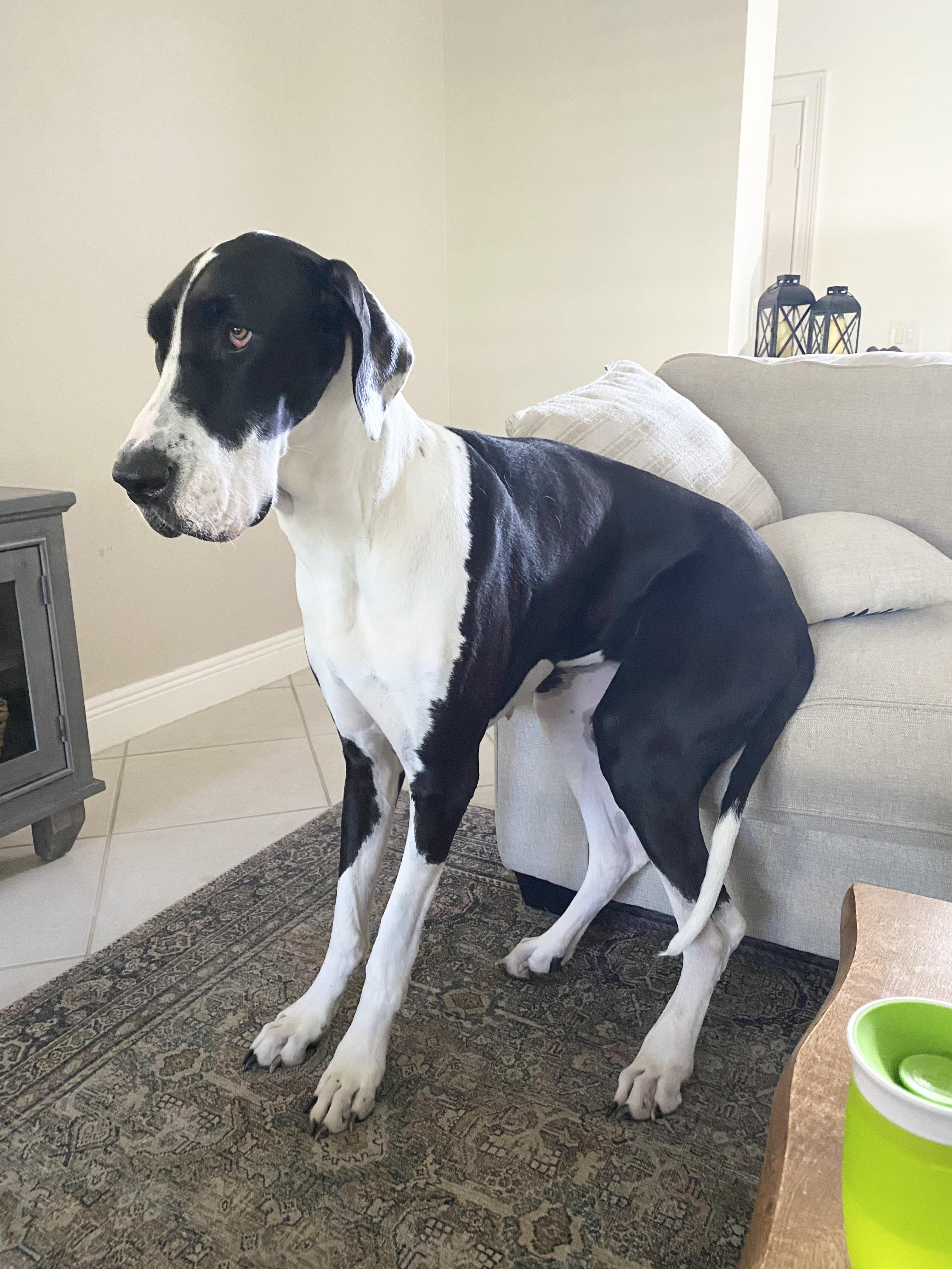 Seats taken (forest hump voice) | Scrolller