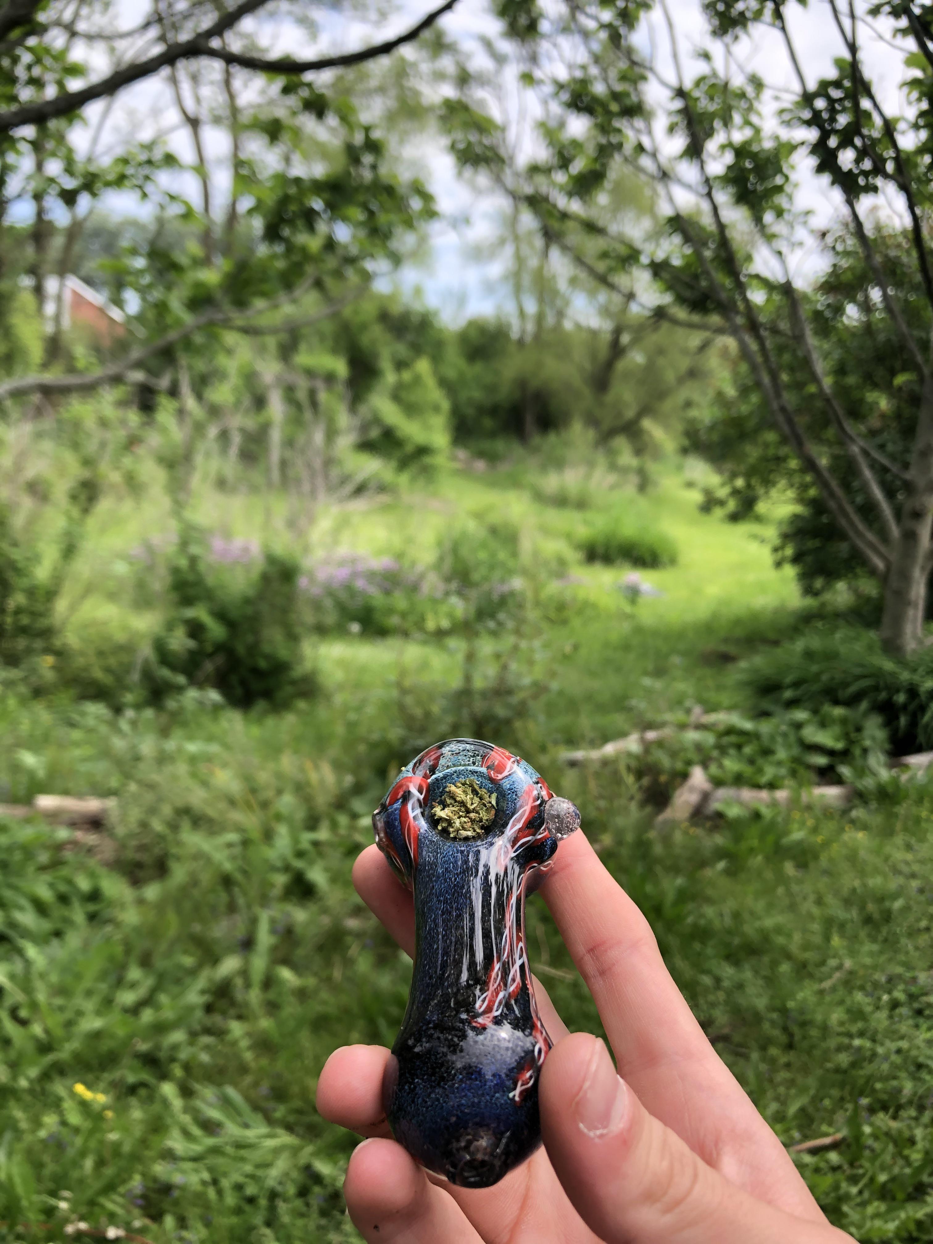 Secluded | Scrolller