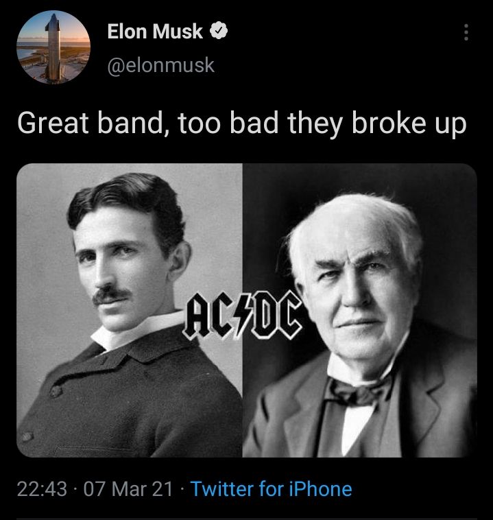 Self aware wolf? | Scrolller