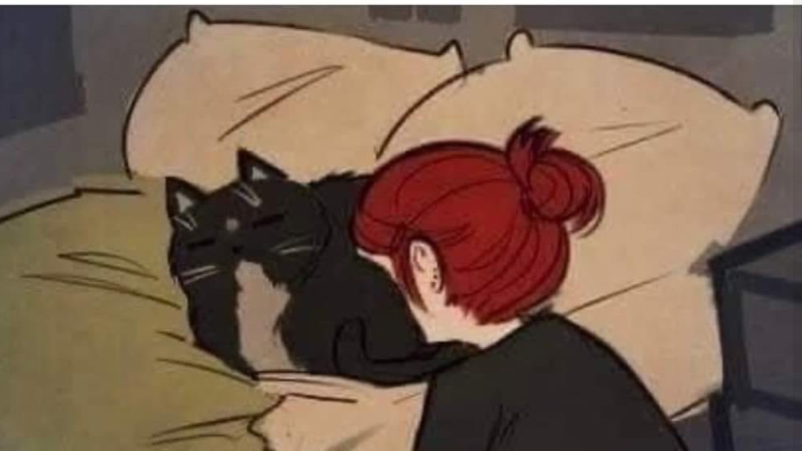 Self care is putting your face on a very soft cat. | Scrolller