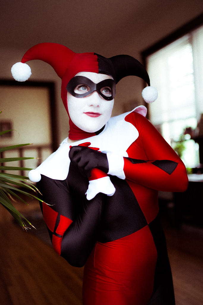 [Self] Harley Quinn - From Batman: The Animated Series | Scrolller