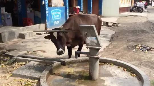 Self-serve water pump | Scrolller