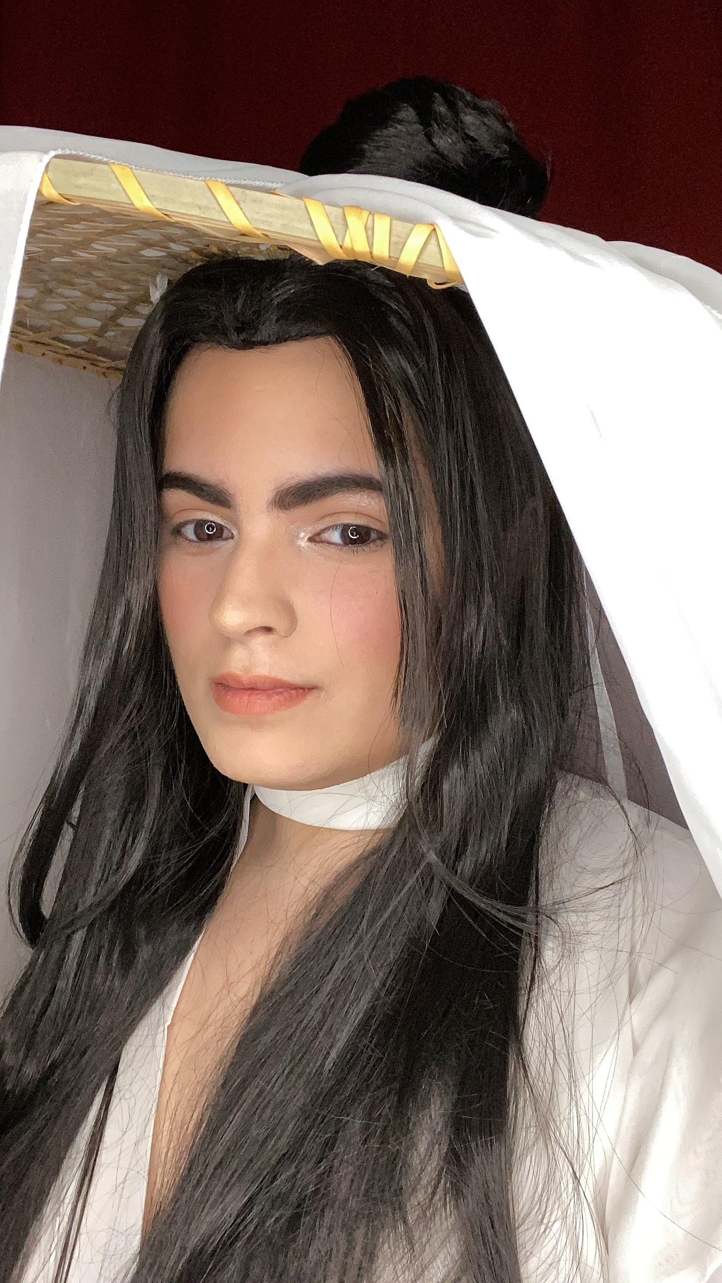 [Self] Xie Lian from Heaven Official’s Blessing/Tian Guan Ci Fu | Scrolller