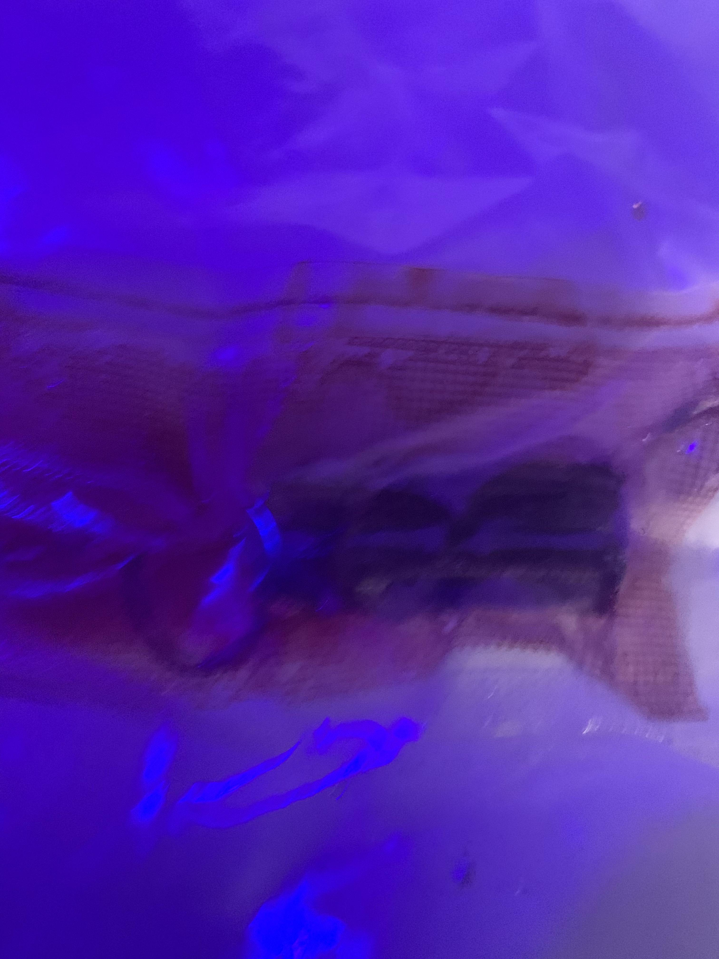 Vacuum sealed and ready to go to its new home | Scrolller