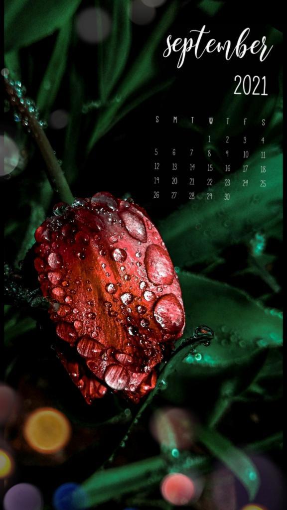 September pic | Scrolller