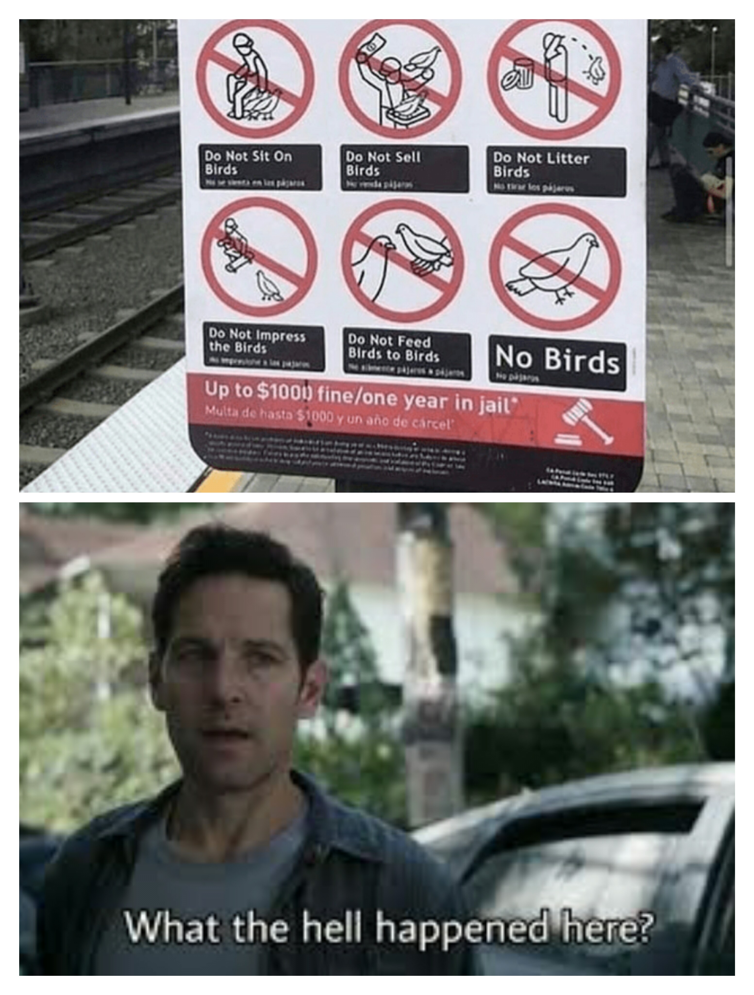 Seriously tho!! What happened?? | Scrolller