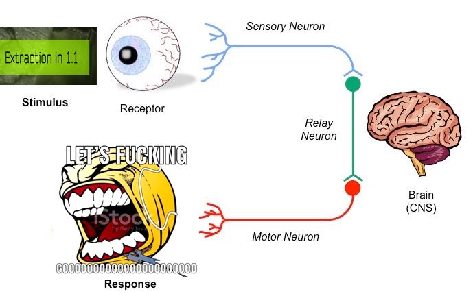 Serotonin received | Scrolller