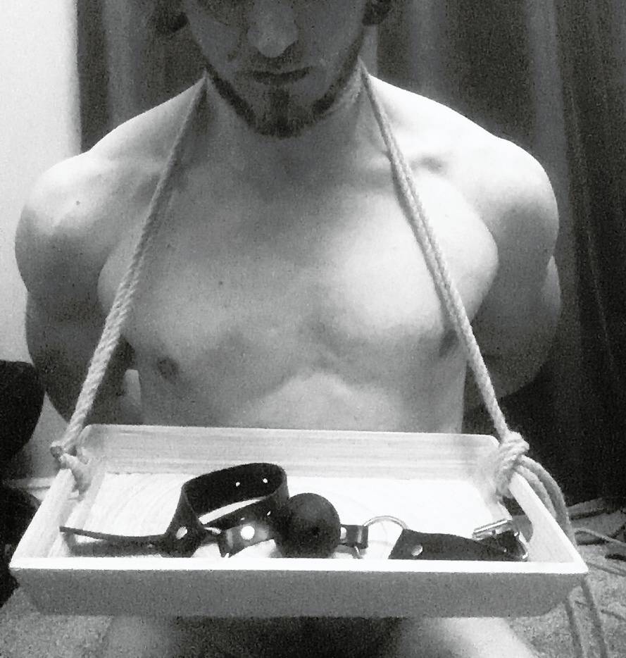 Serving up my submission... [OC][Self][Album in comments] | Scrolller