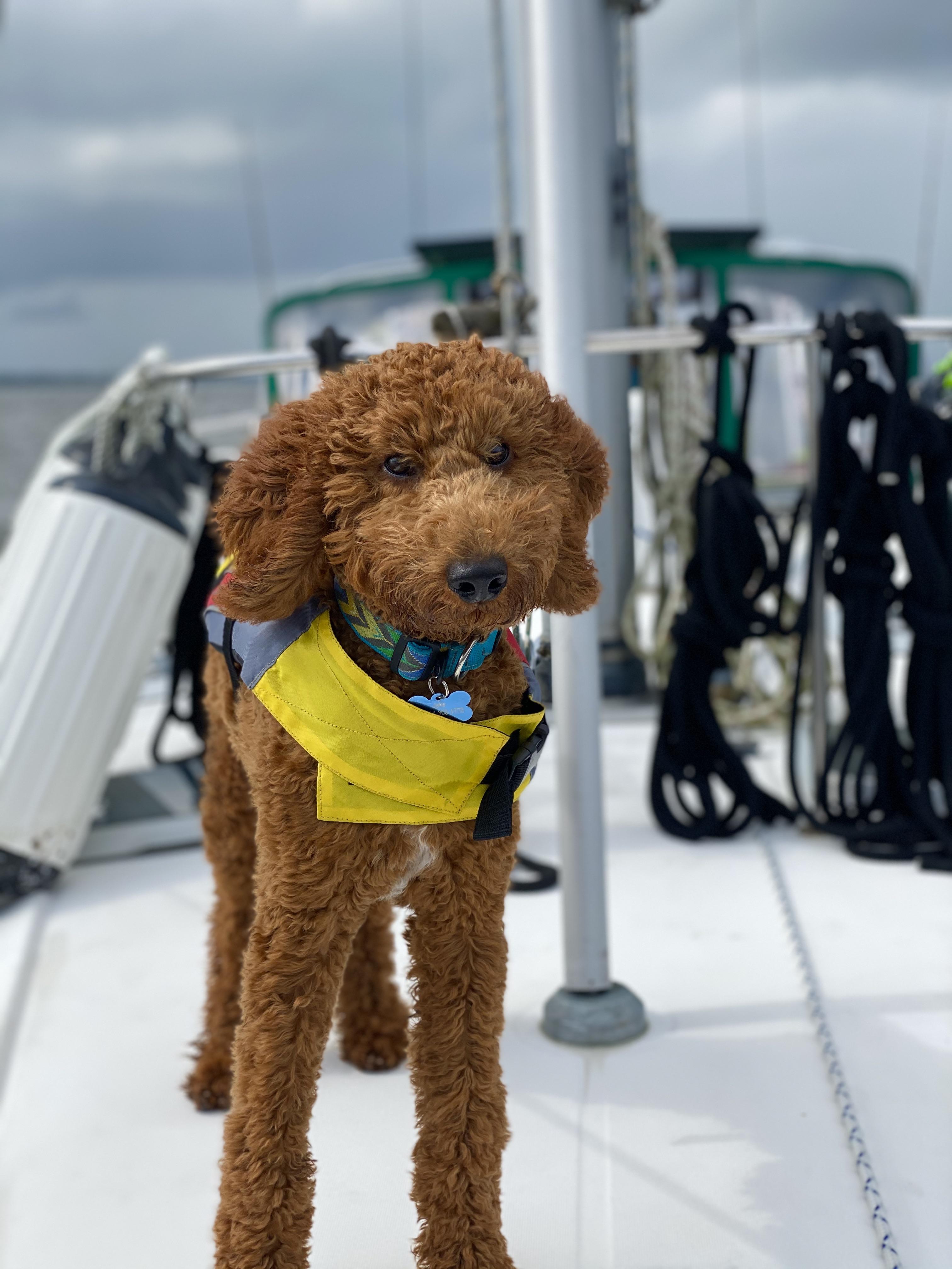 Setting sail for key west with my first mate | Scrolller