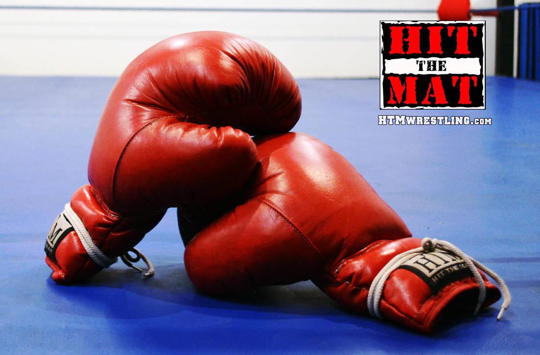 Sexy Boxing Gloves 🥊😍 | Scrolller