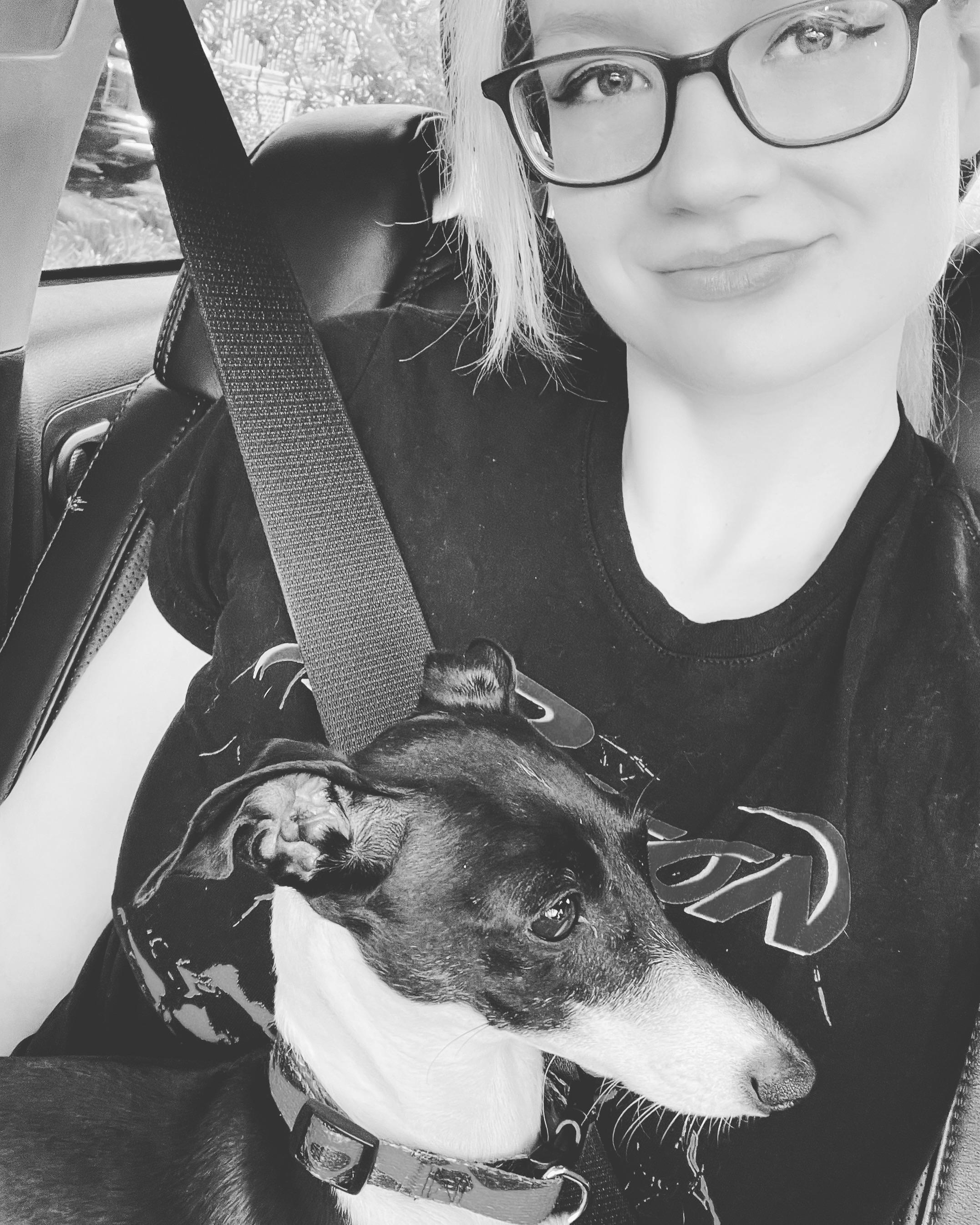 SFW: Casual Friday with the doggo | Scrolller