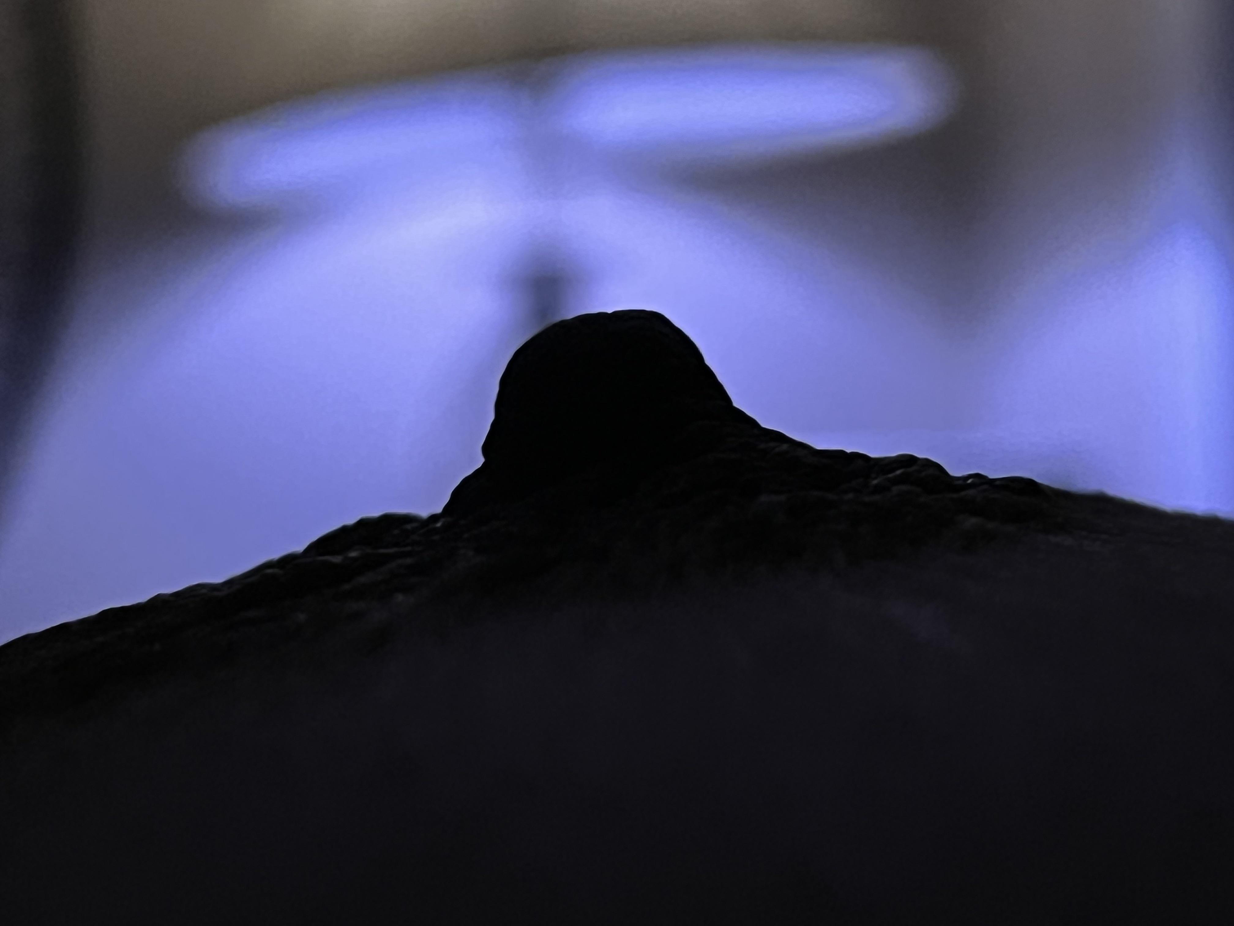 Shadow Nip | Scrolller