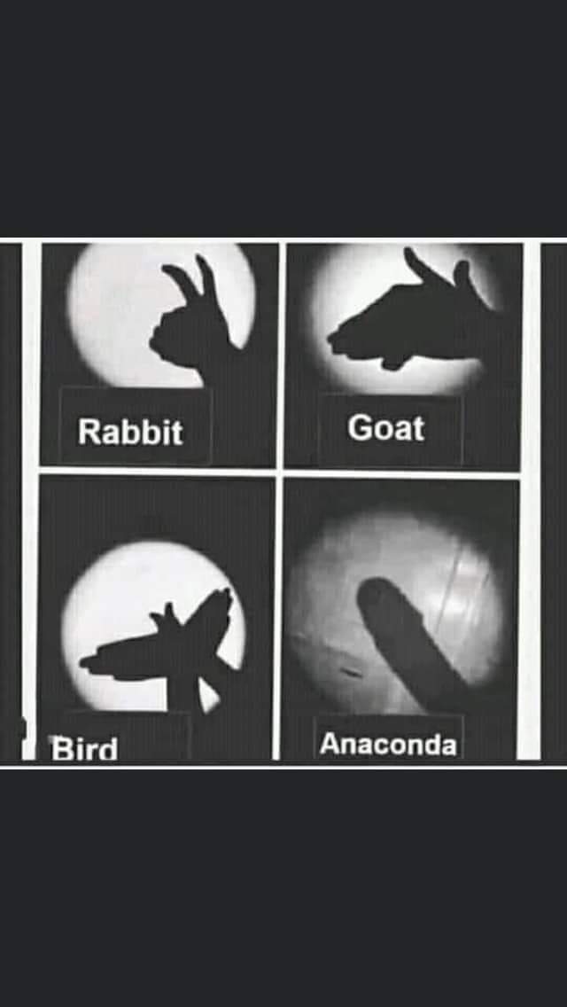 Shadow puppet | Scrolller