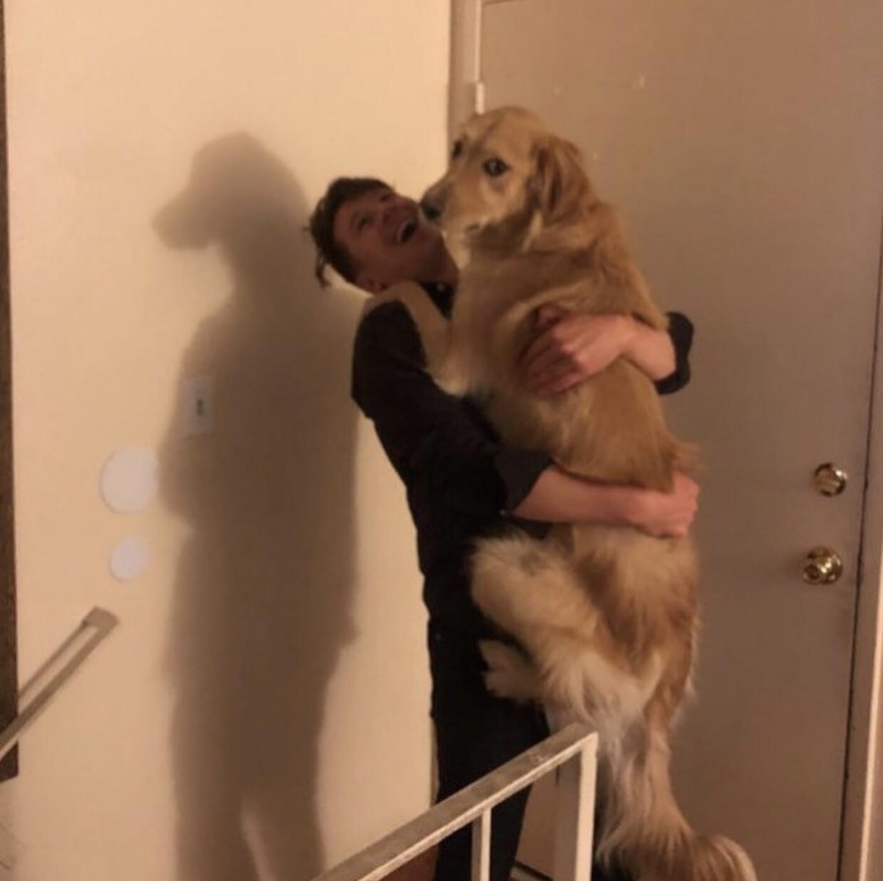 Shapeshifter? | Scrolller