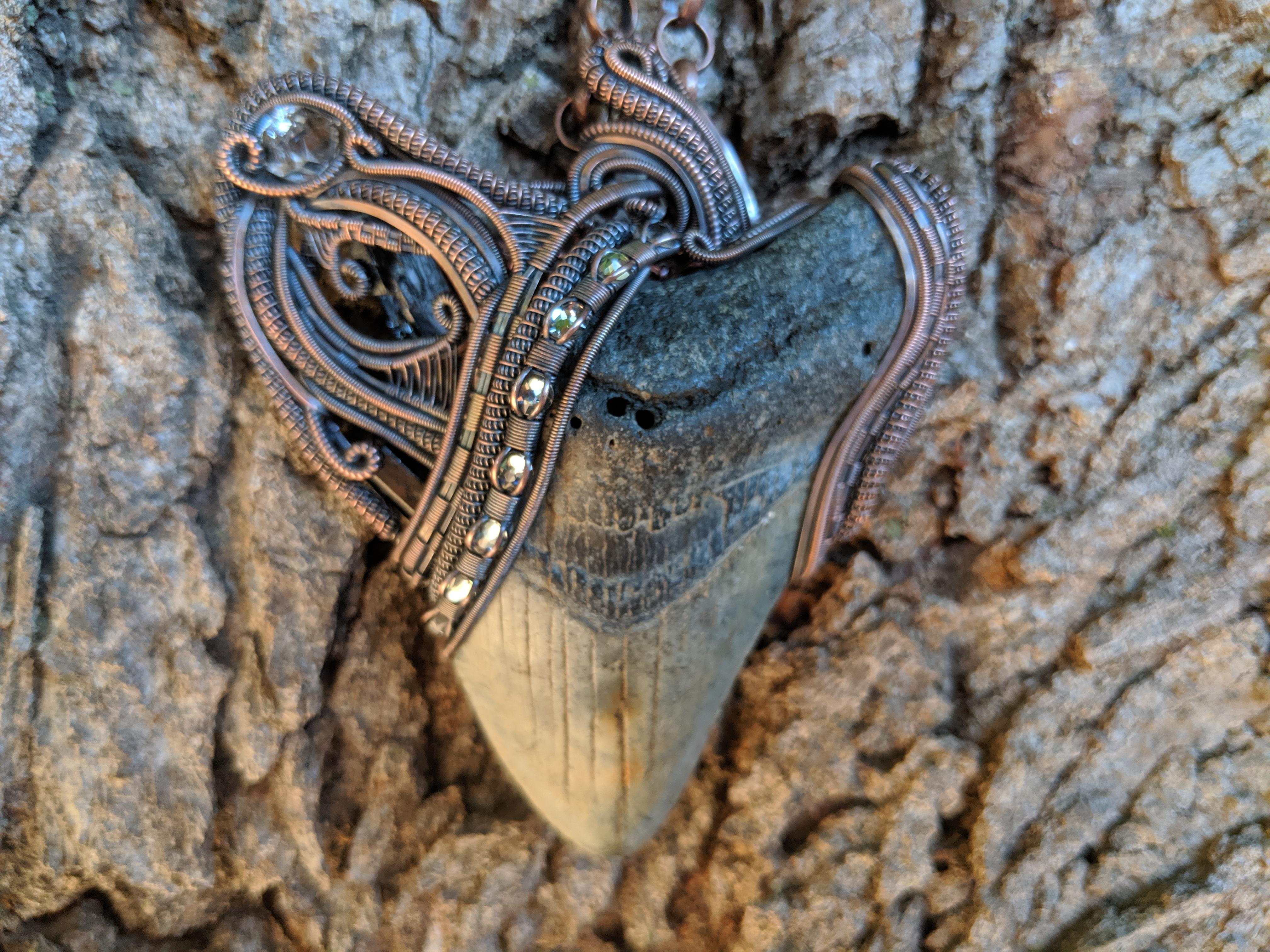 Shark tooth fossil | Scrolller