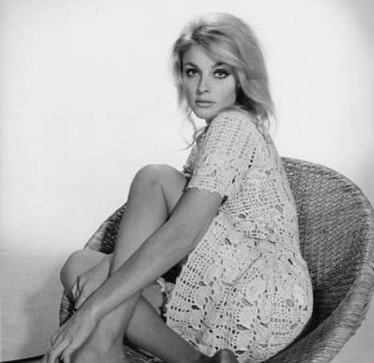 Sharon Tate 1965 | Scrolller