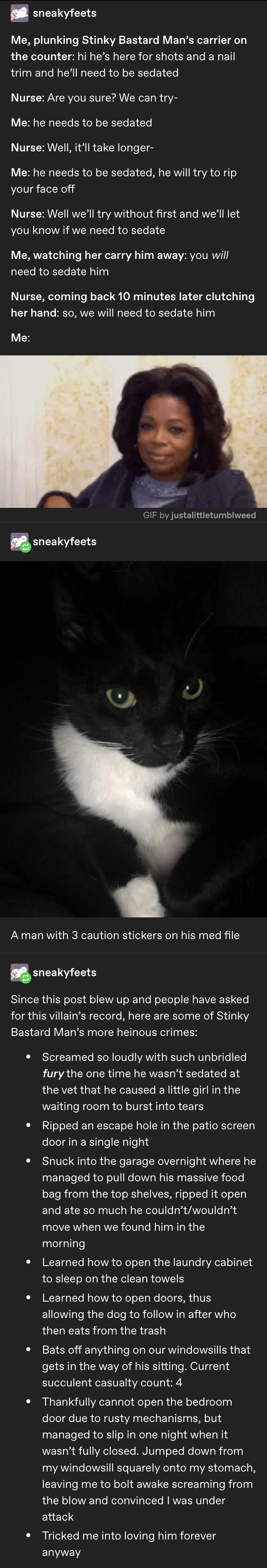 Sharp and angry boi | Scrolller