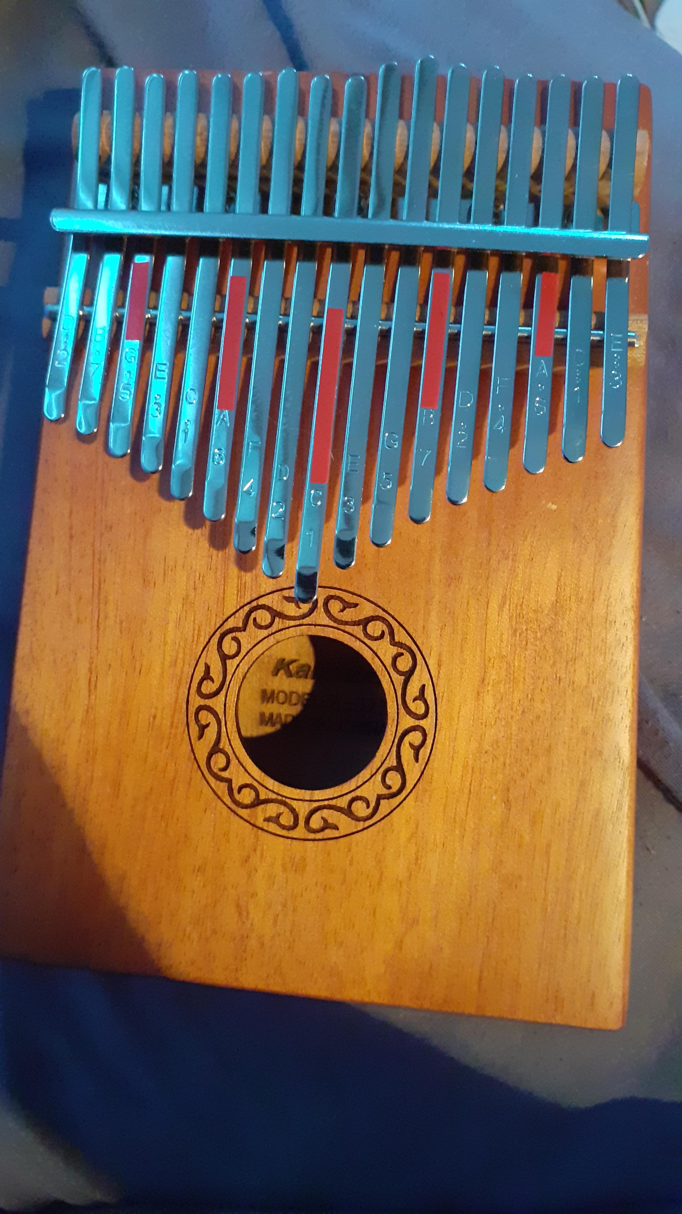 She arrived! Hello new hobby | Scrolller