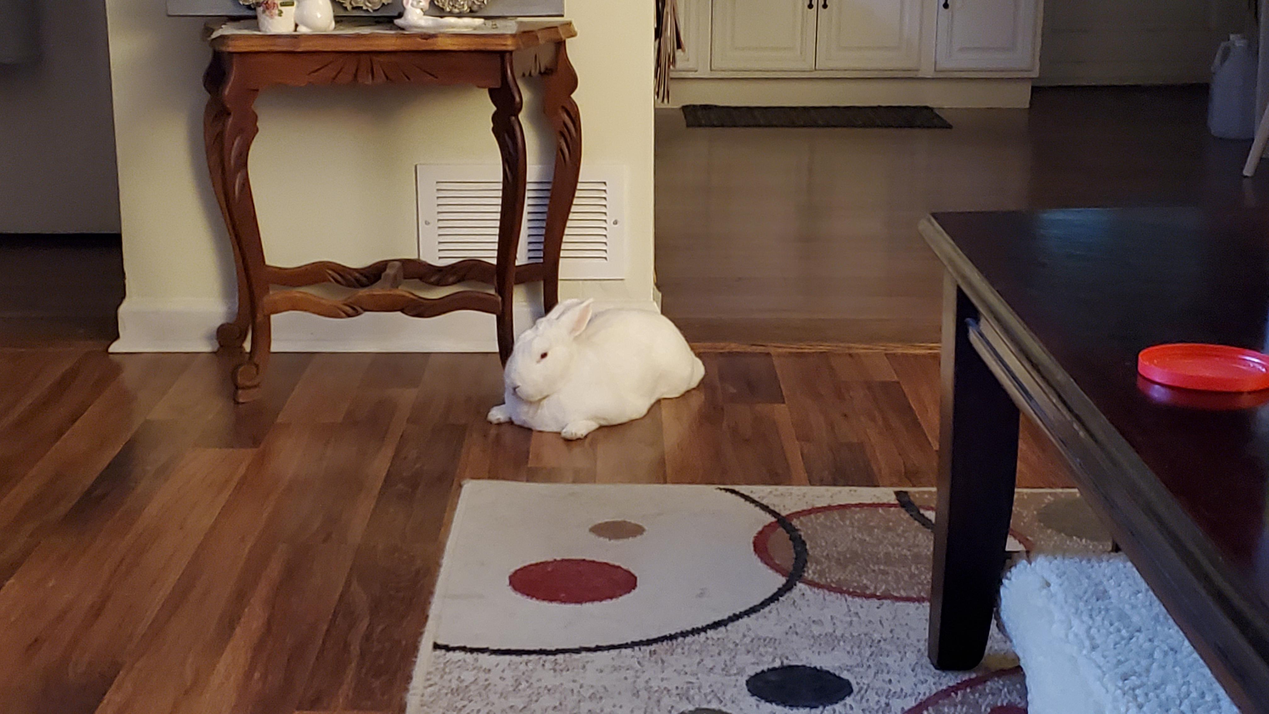 She be lovin the cool air from the vent | Scrolller