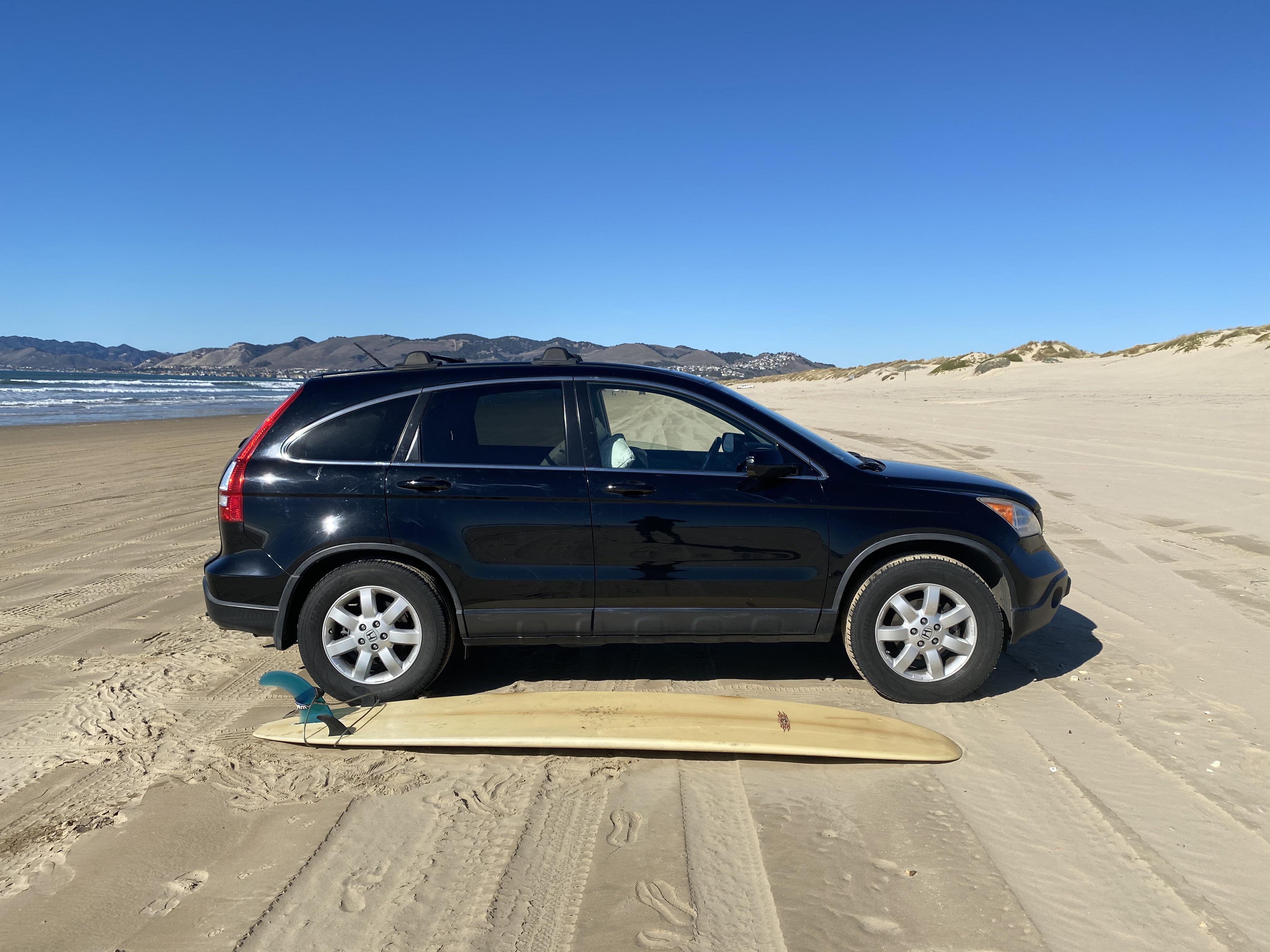 She does fine in the sand! | Scrolller