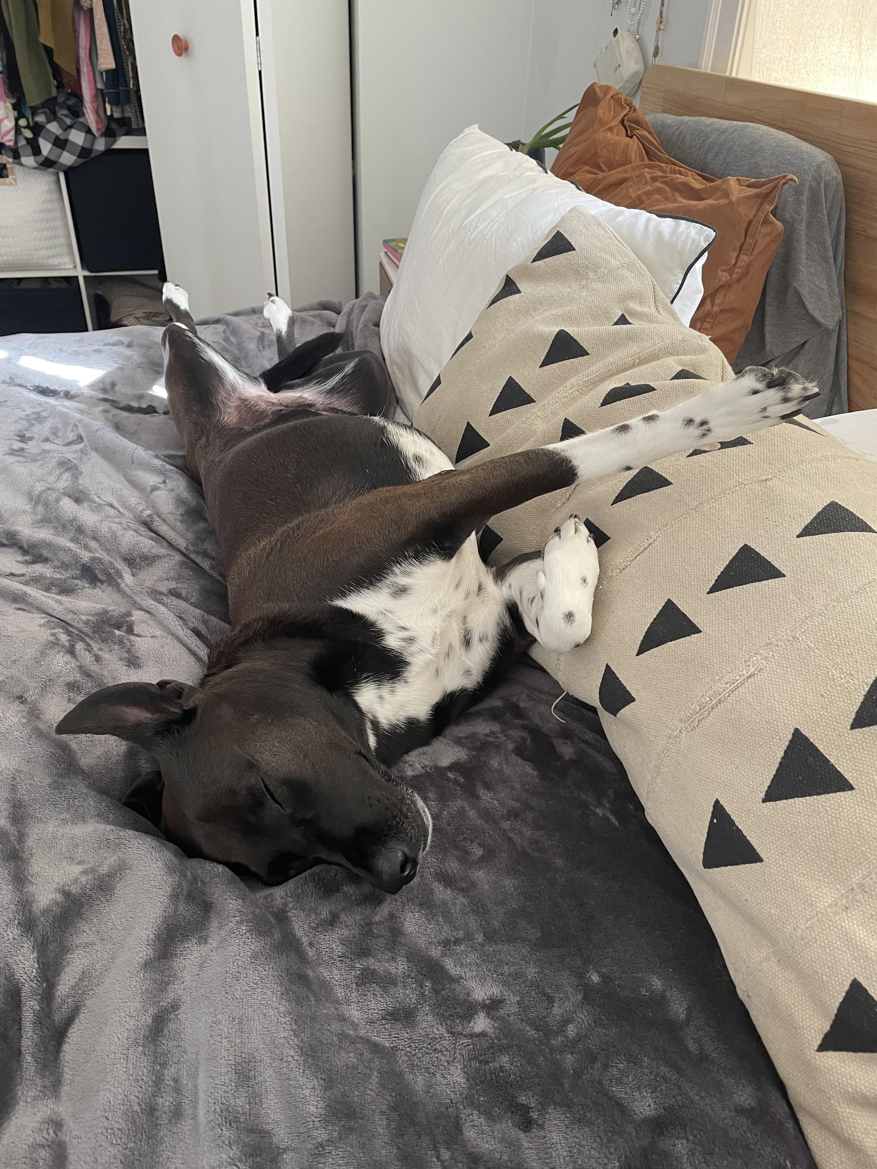 She has a very difficult life! | Scrolller