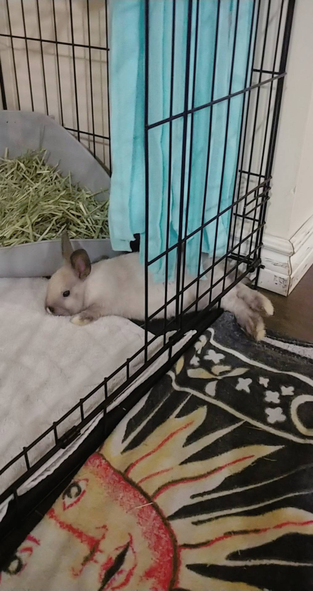 She Likes To Put Her Feet Up After A Long Day Scrolller She Likes To Put Her Feet Up After A Long Day Scrolller
