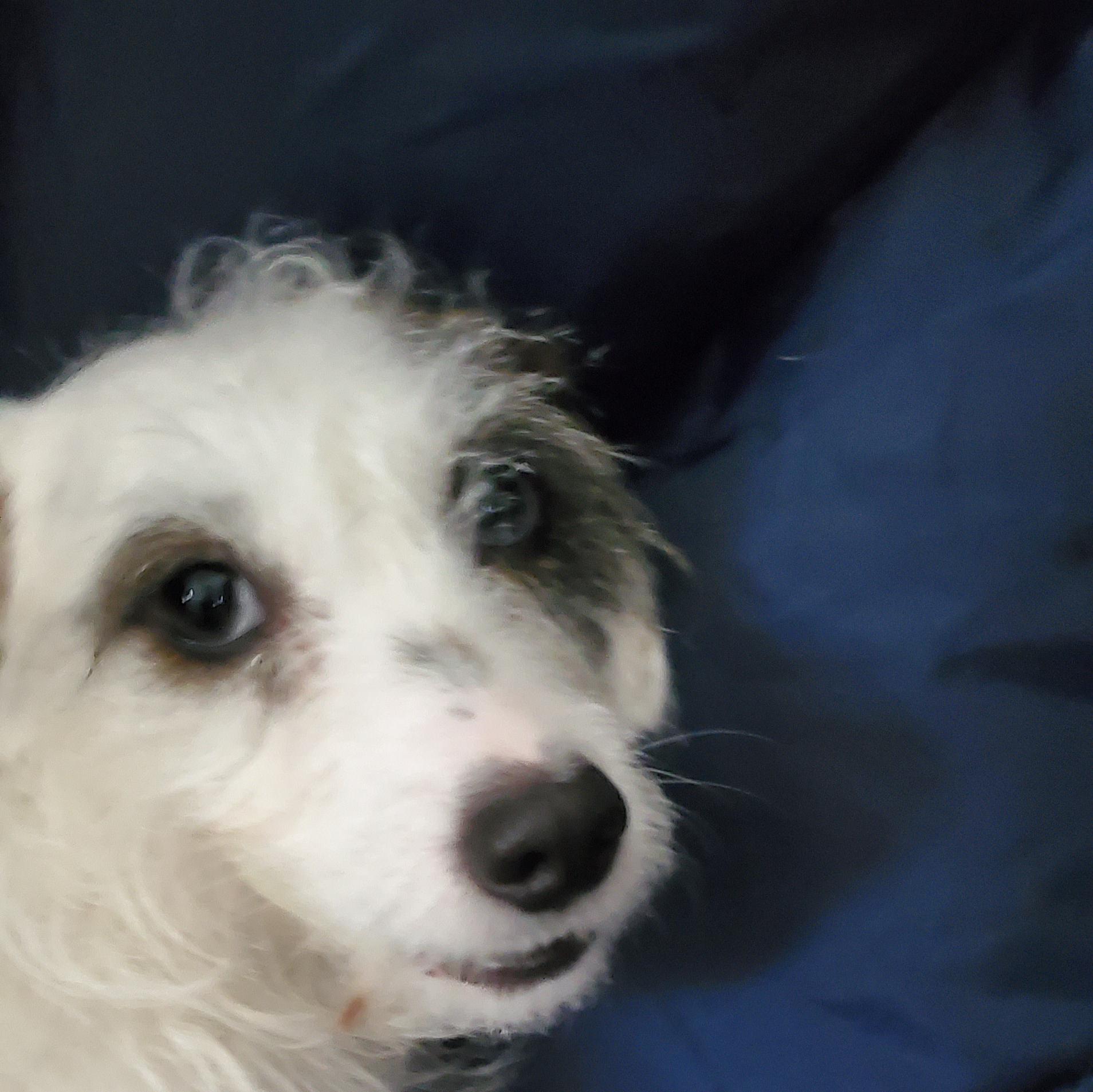 she looked a lot cuter two years ago | Scrolller