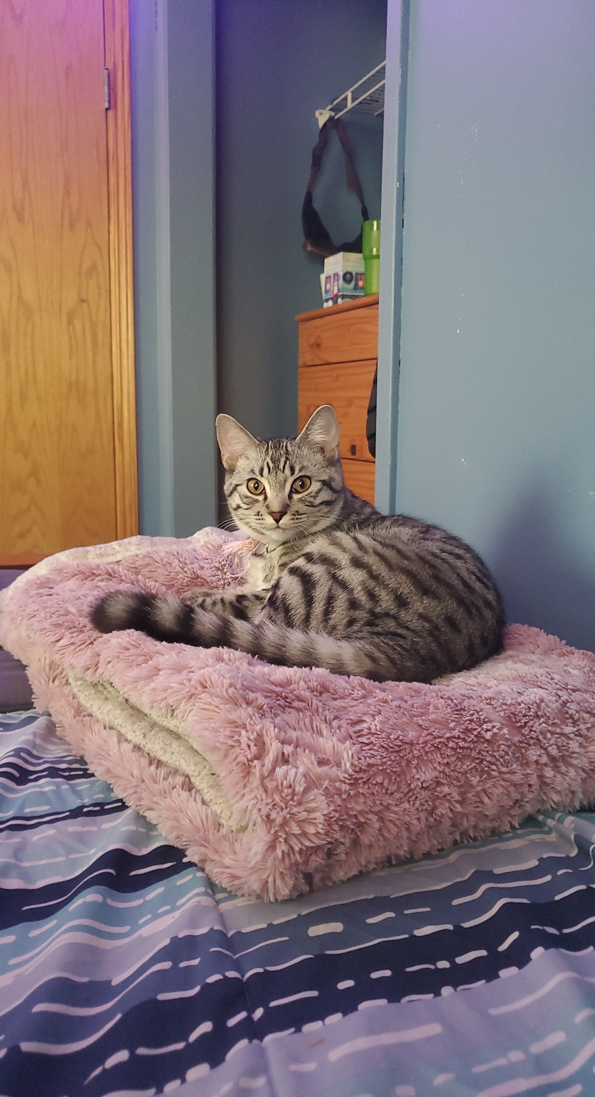 She really loves that blanket | Scrolller