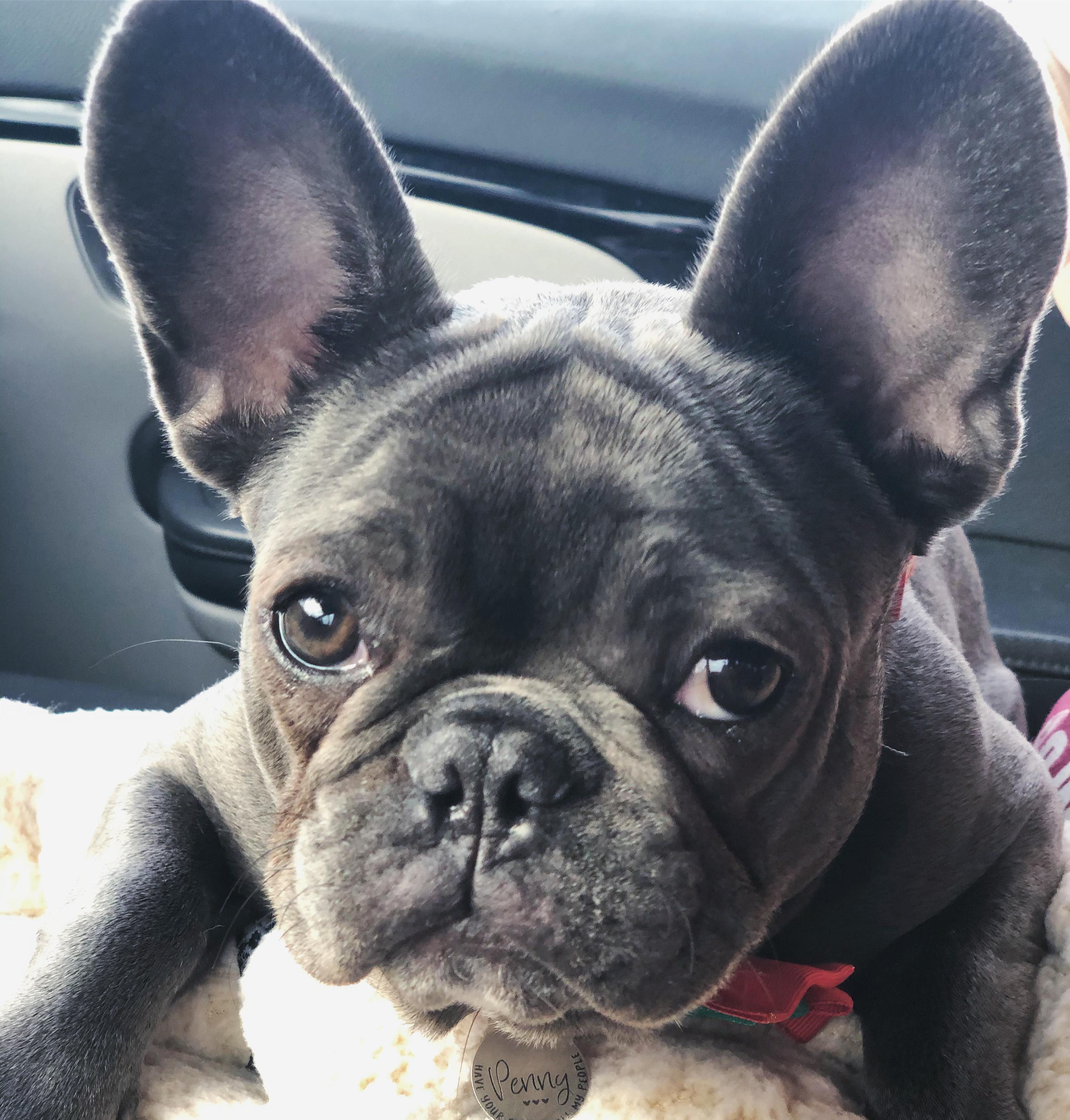 She’s got resting sad face y’all... | Scrolller