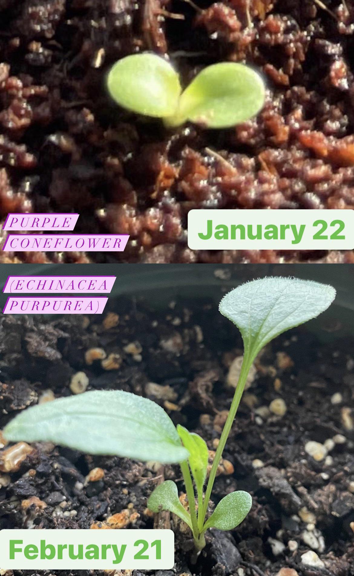 She’s growing like crazy! | Scrolller