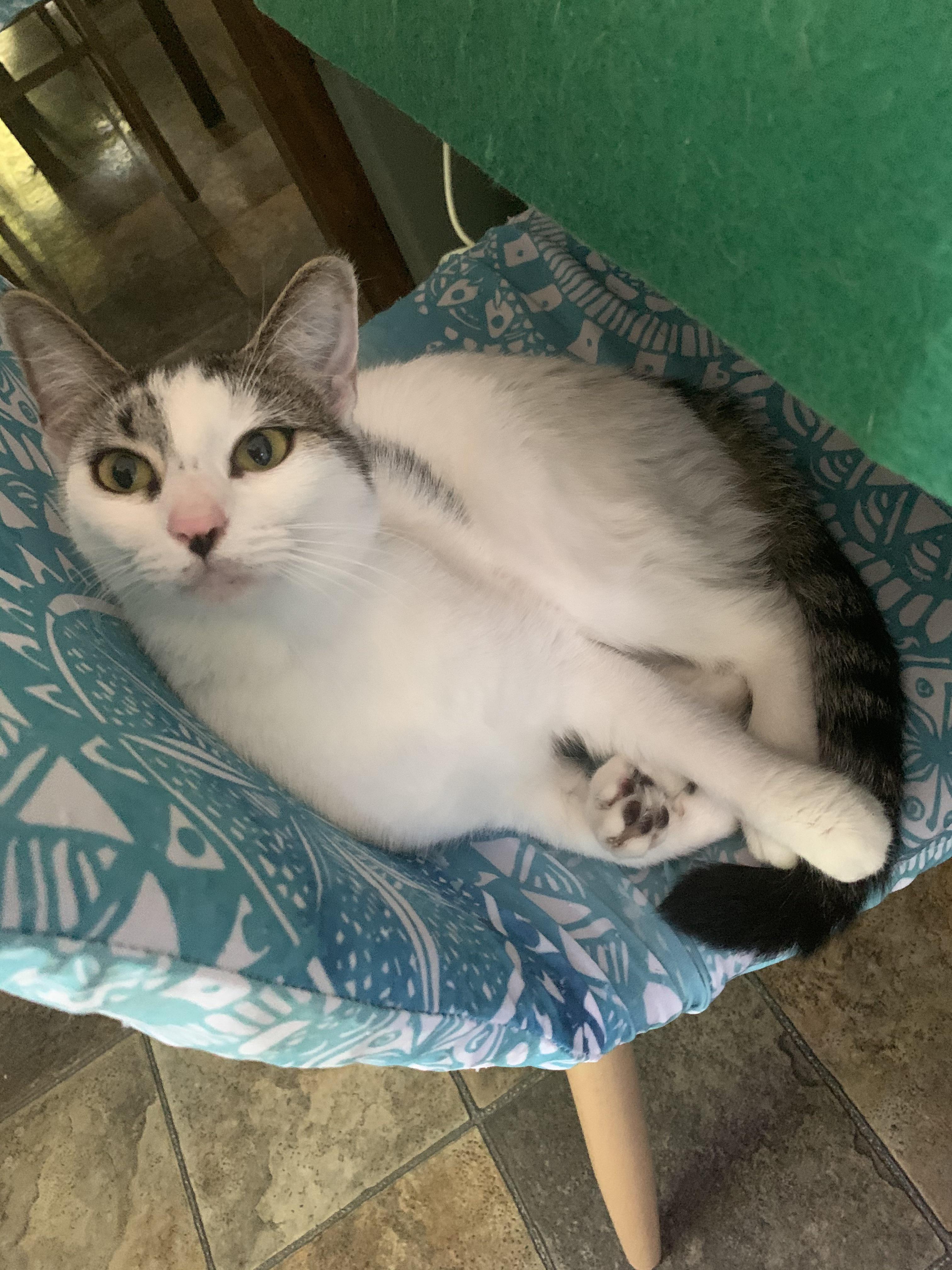 She’s not plotting your death. I swear | Scrolller