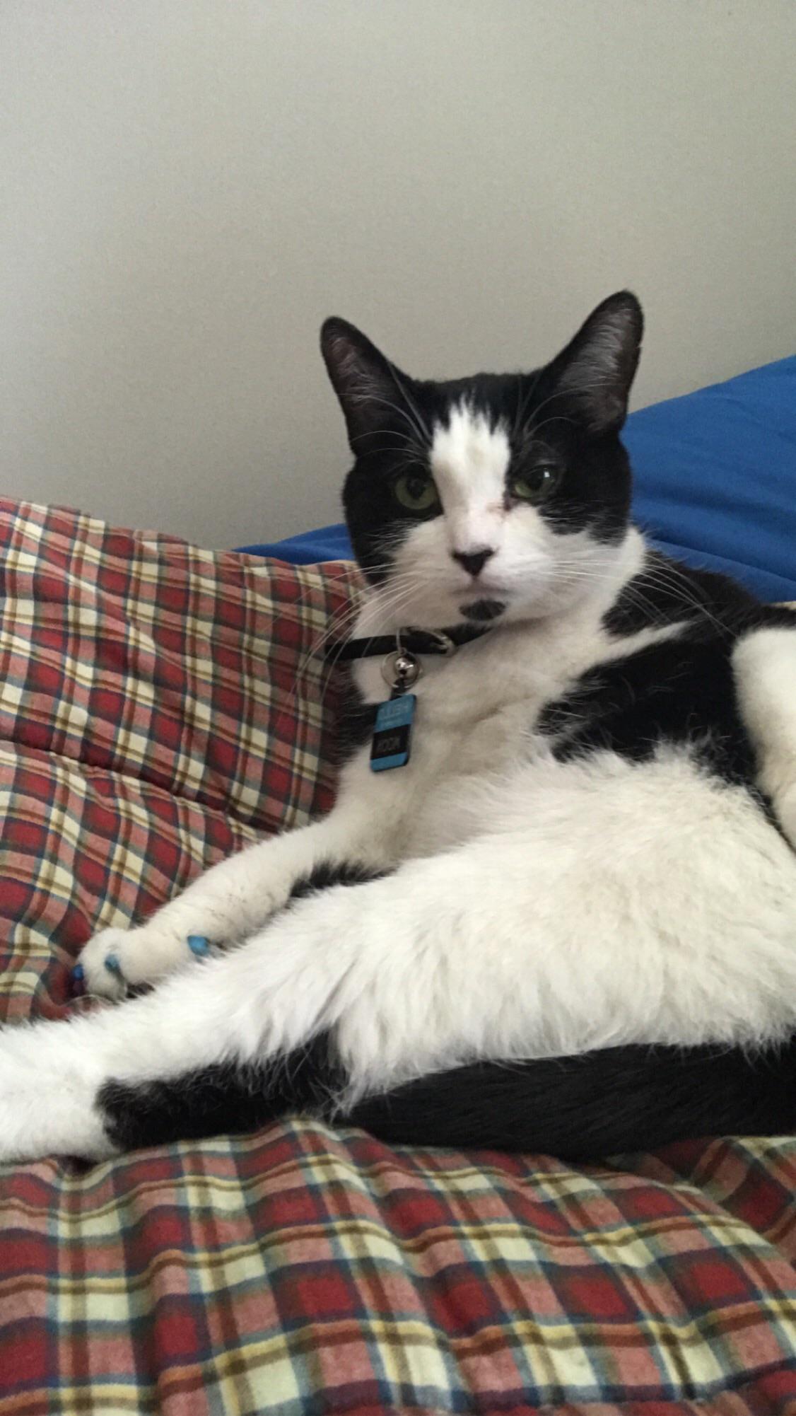 She sit she observe: Miss Moon | Scrolller