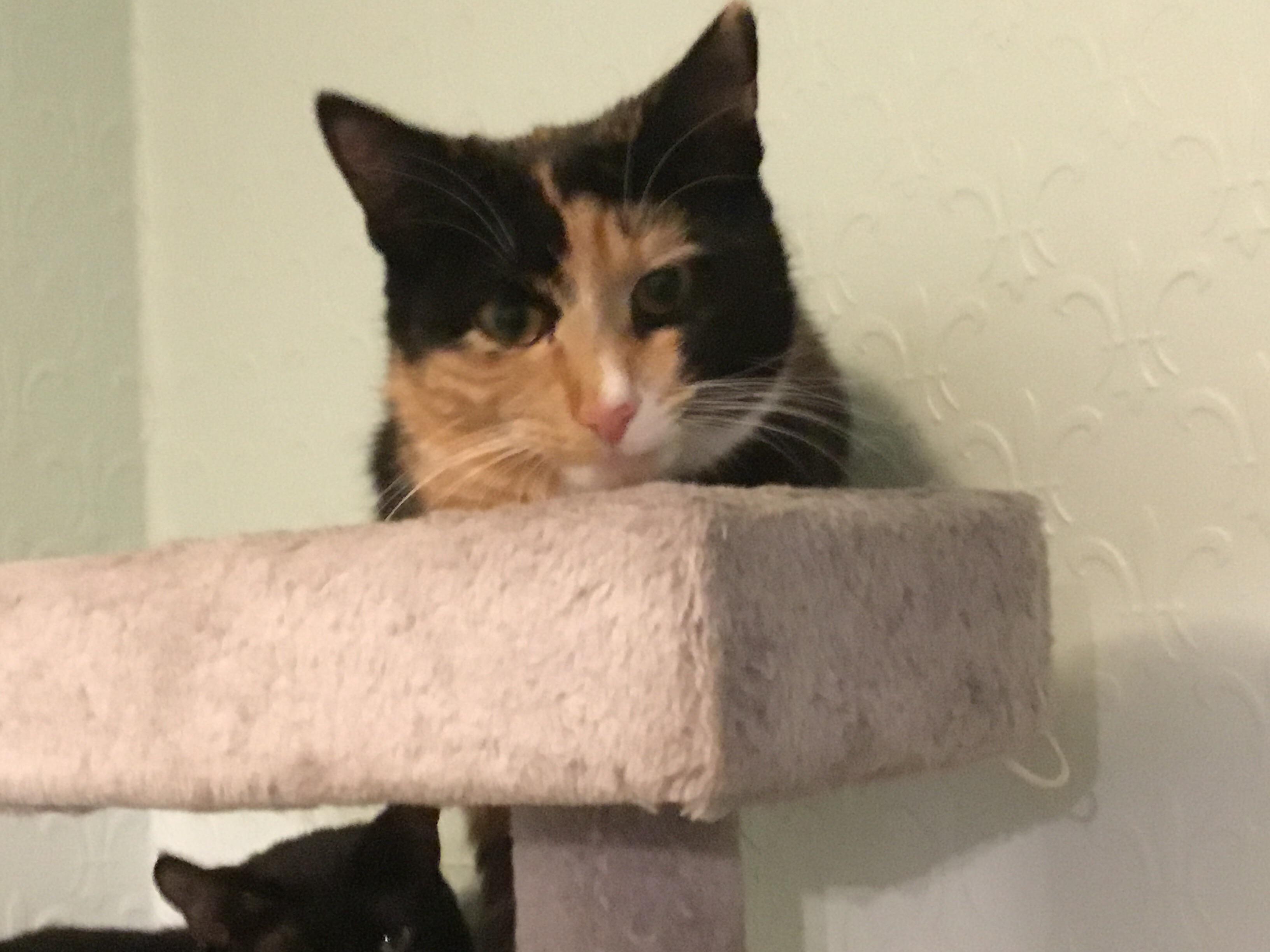 she smile | Scrolller