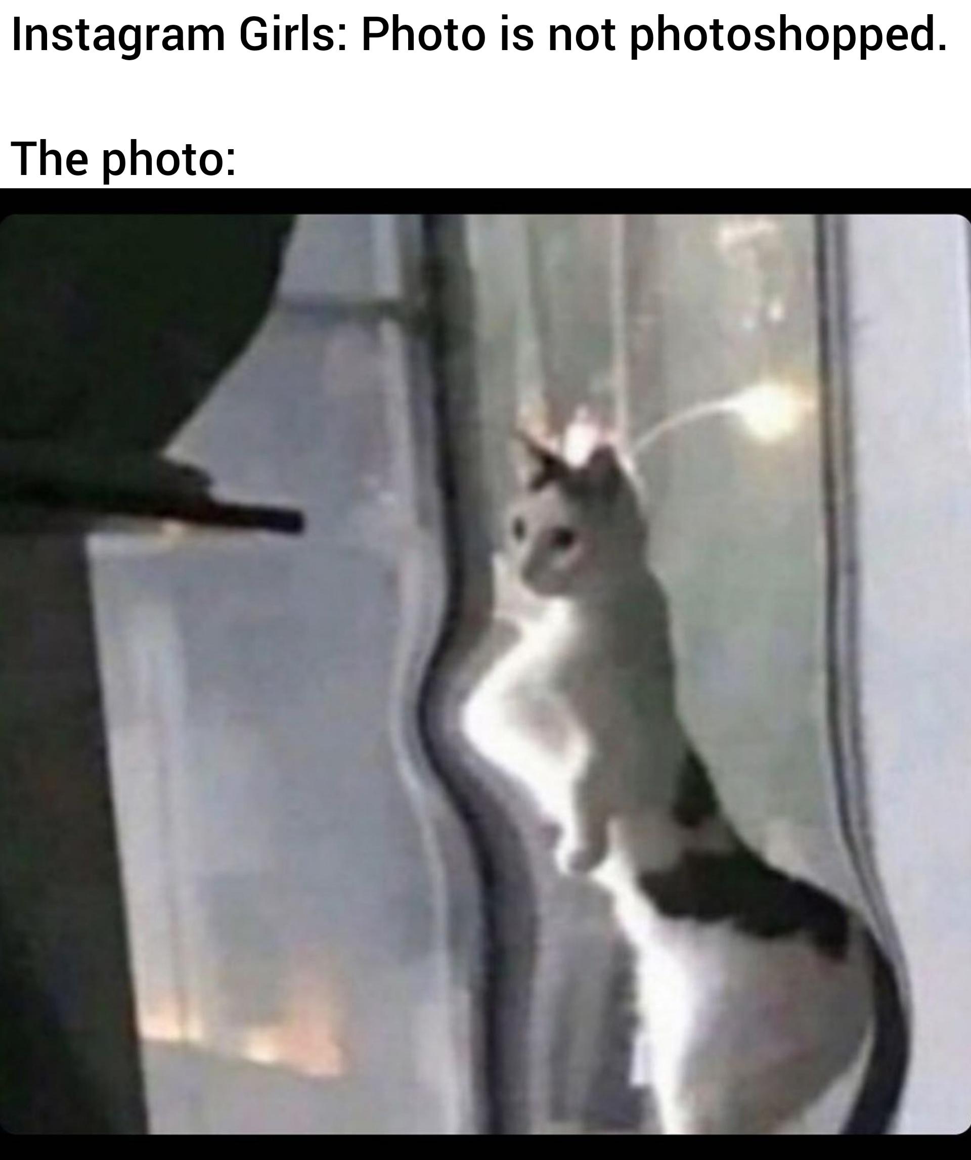 She thicc tho | Scrolller