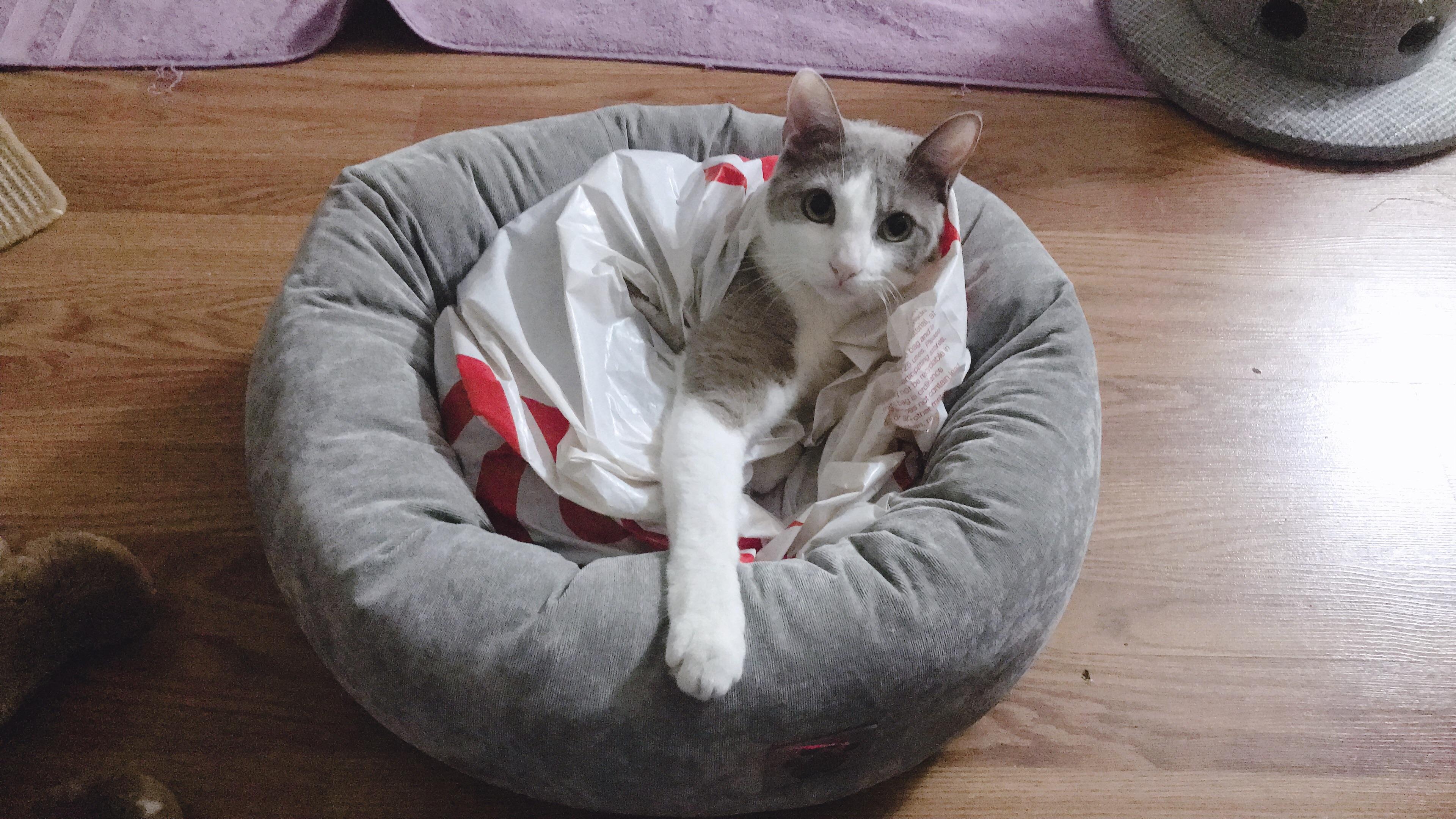 She wouldn’t let me touch the bag | Scrolller