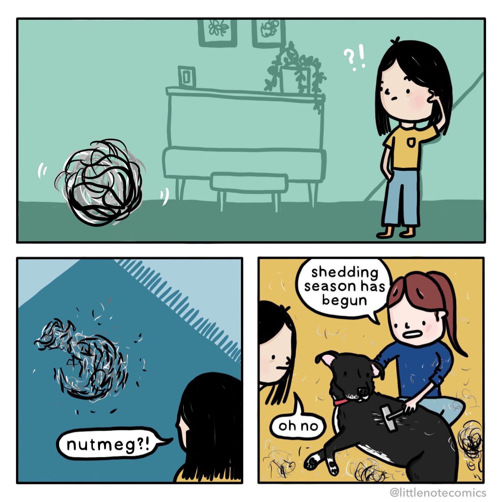 Shedding Season [OC] | Scrolller