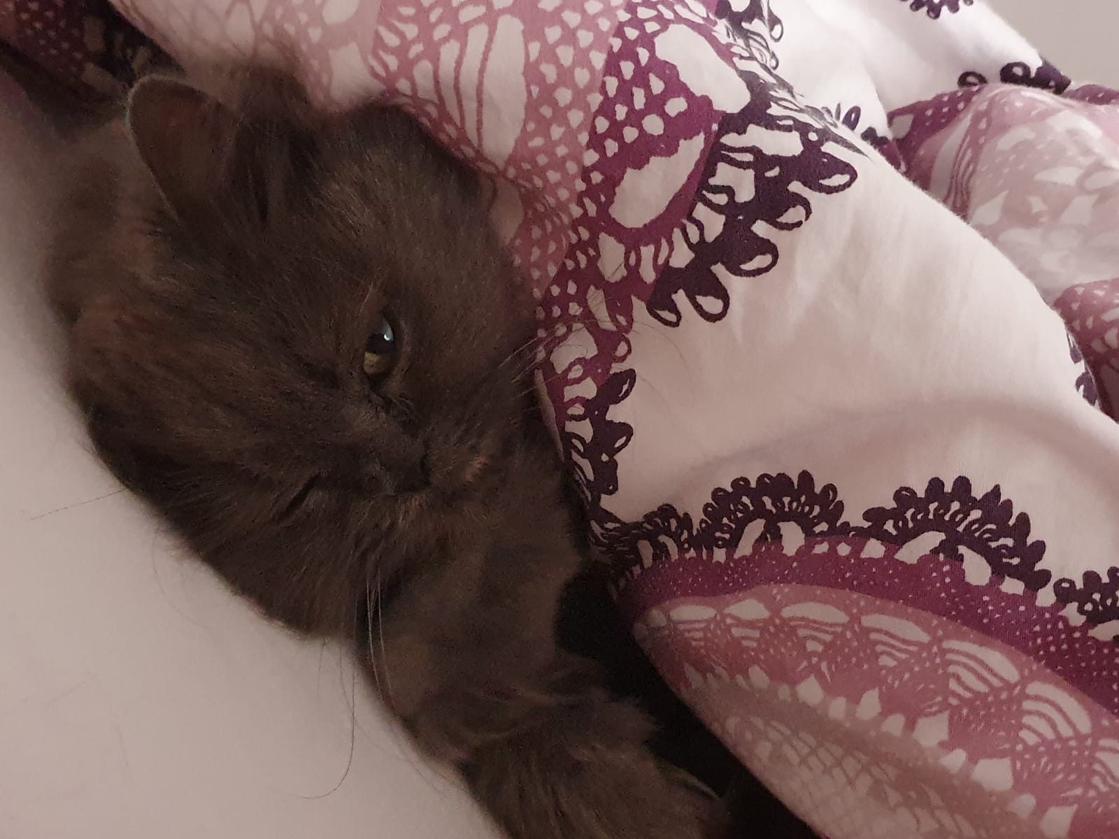 She's a delight | Scrolller