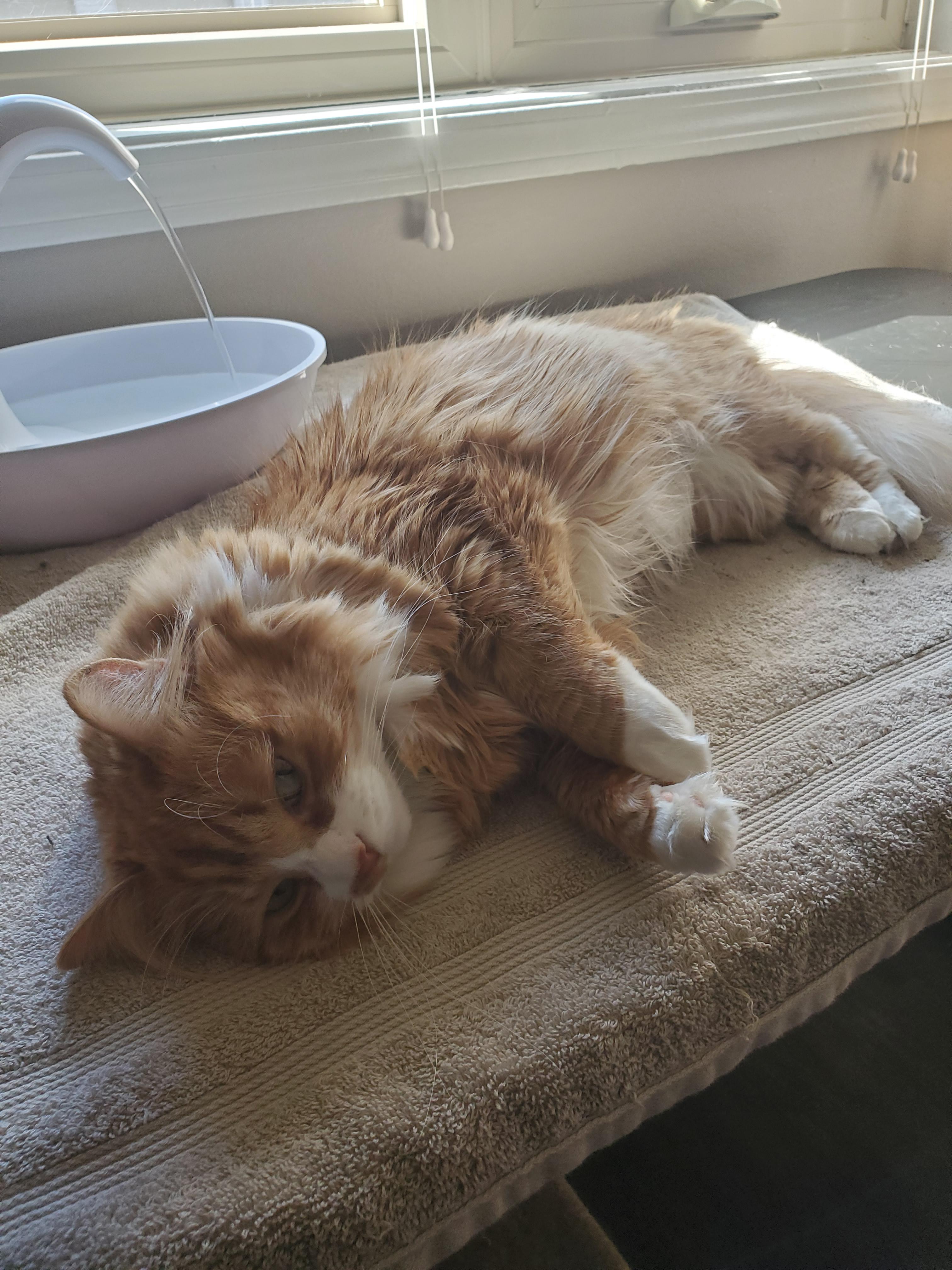 Shes so spoiled | Scrolller