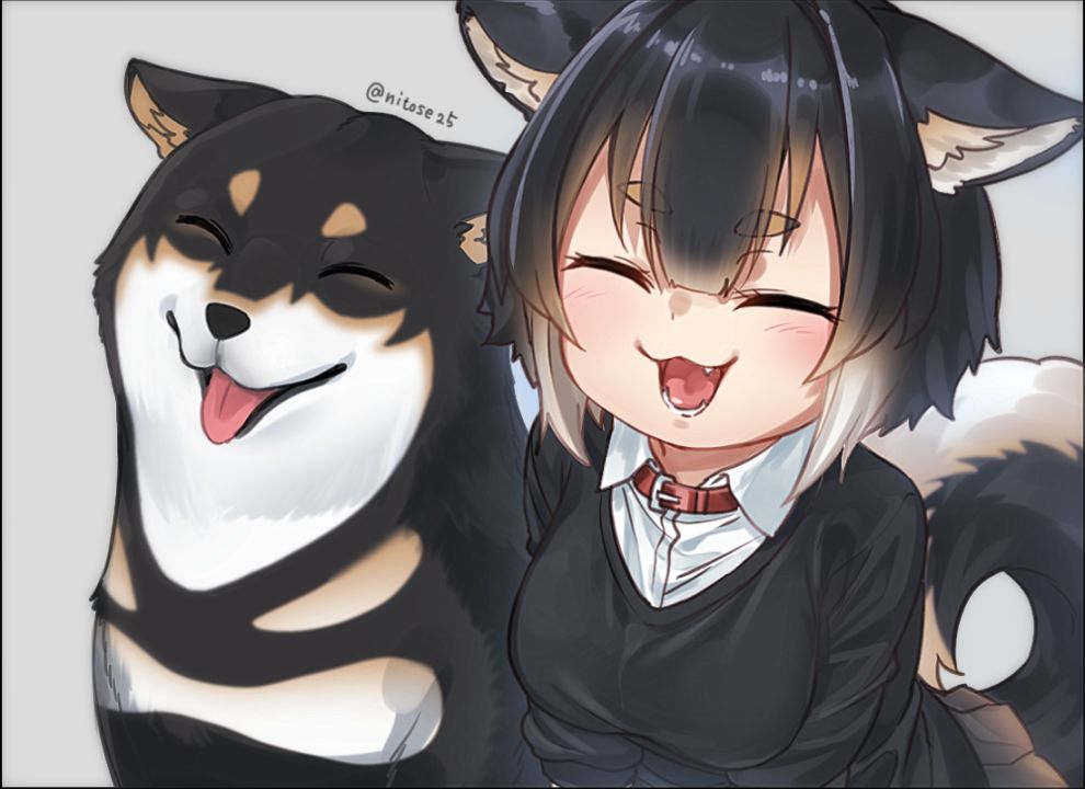 Shiba [Original] | Scrolller