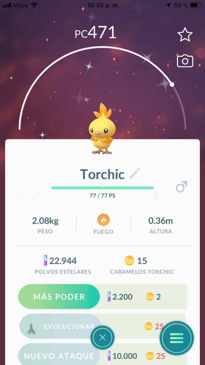 Shiny torchic | Scrolller