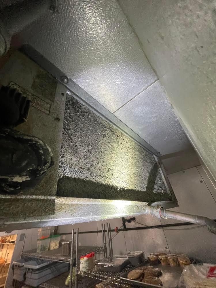 Shocked this refrigerator was still holding 40 degrees honestly. | Scrolller