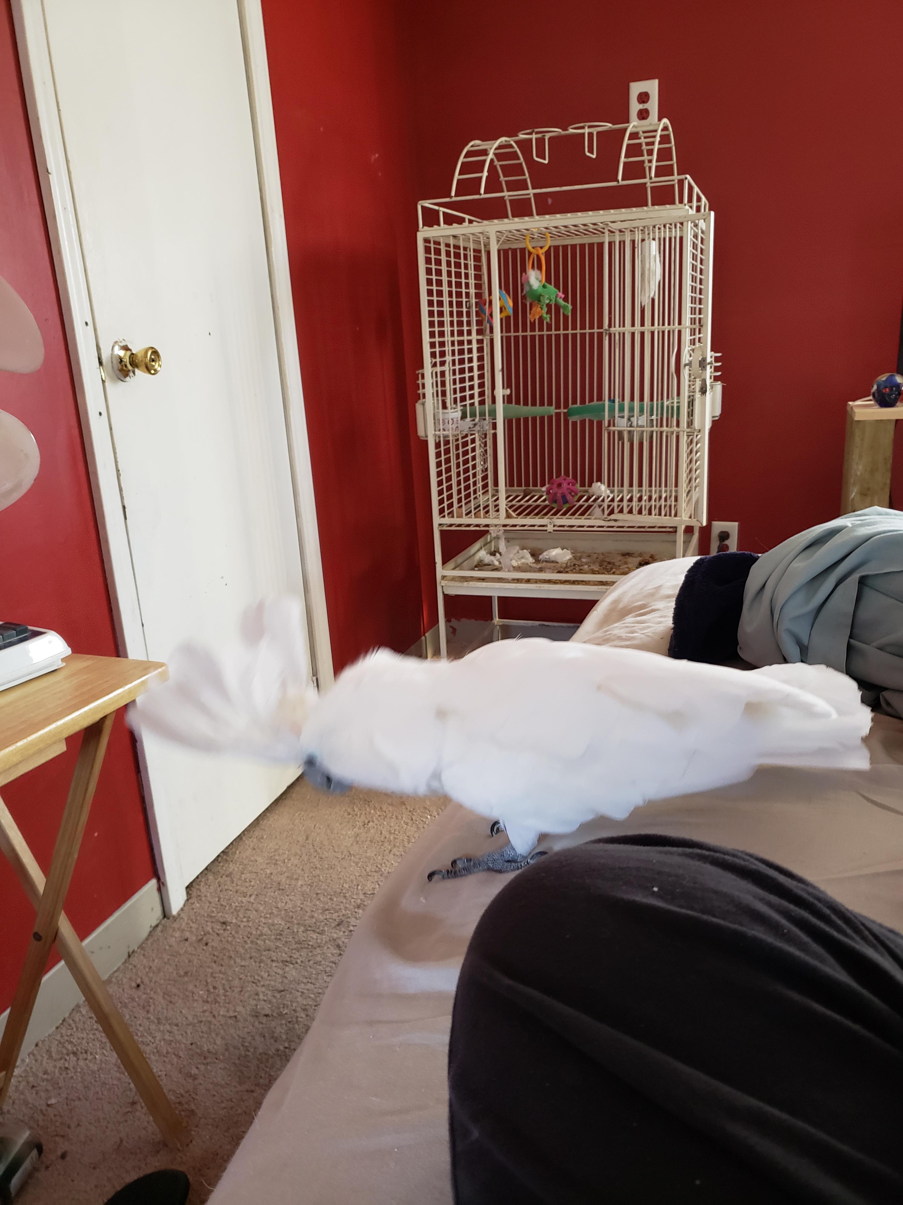 Shonda doing a protec from the furry beast that live under the bed! | Scrolller