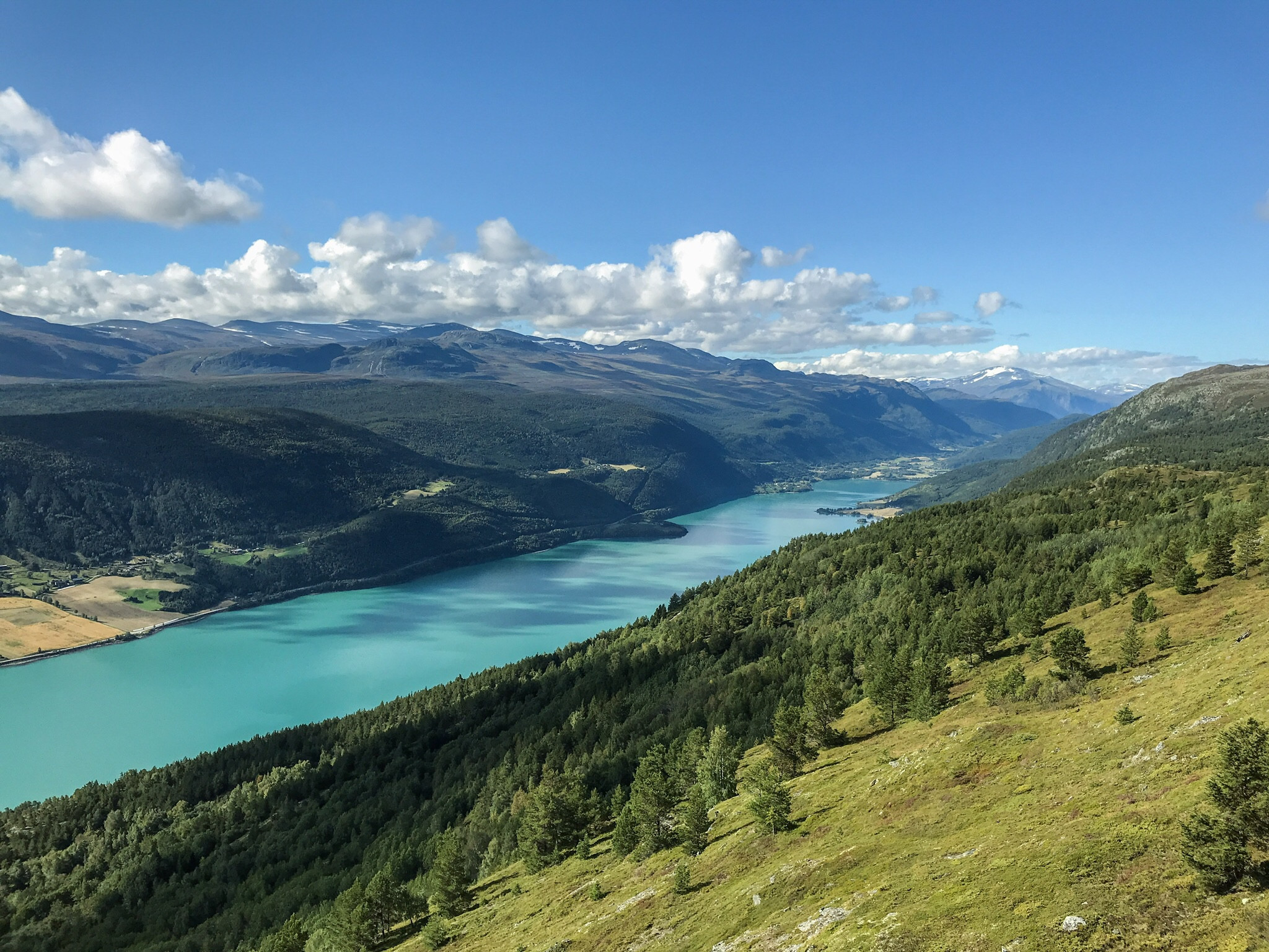 Shot on iPhone 7 plus | Scrolller