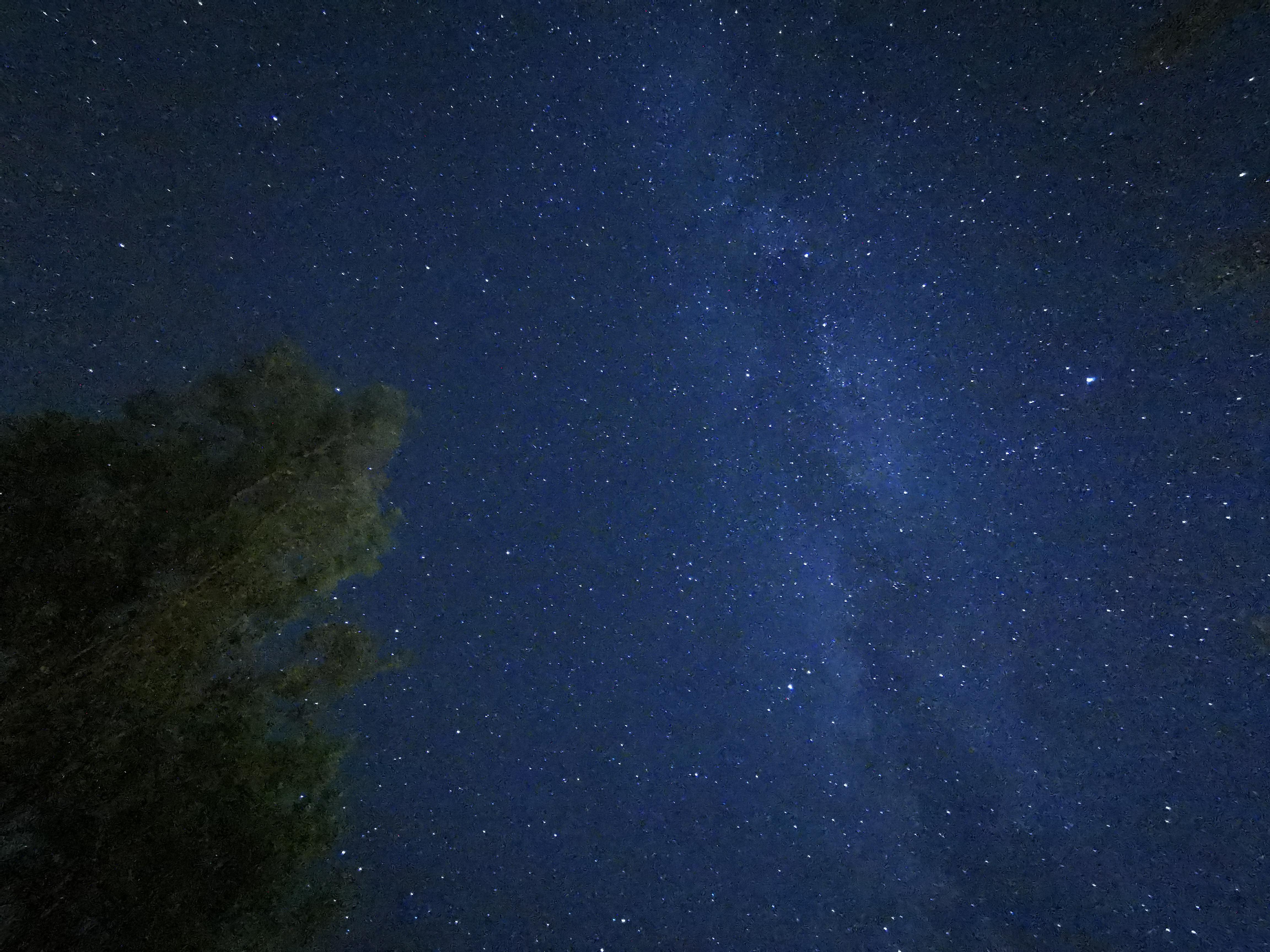 Shot on mate 20 | Scrolller